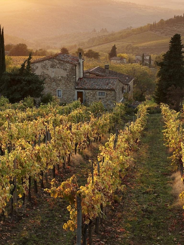 Italy Vineyard Wallpapers - Top Free Italy Vineyard Backgrounds ...