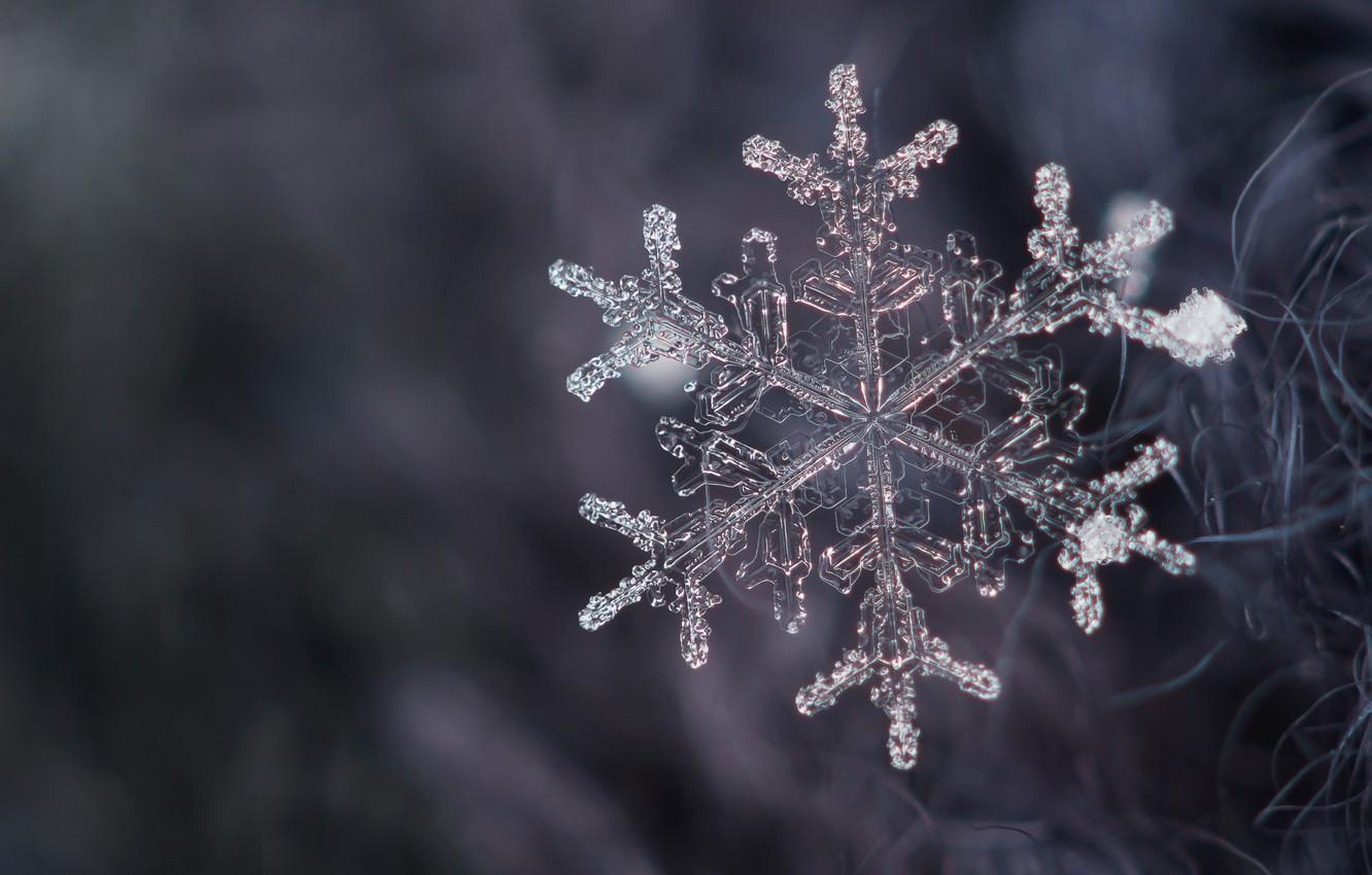 Snow Crystal Wallpapers - Top Free Snow Crystal Backgrounds ...