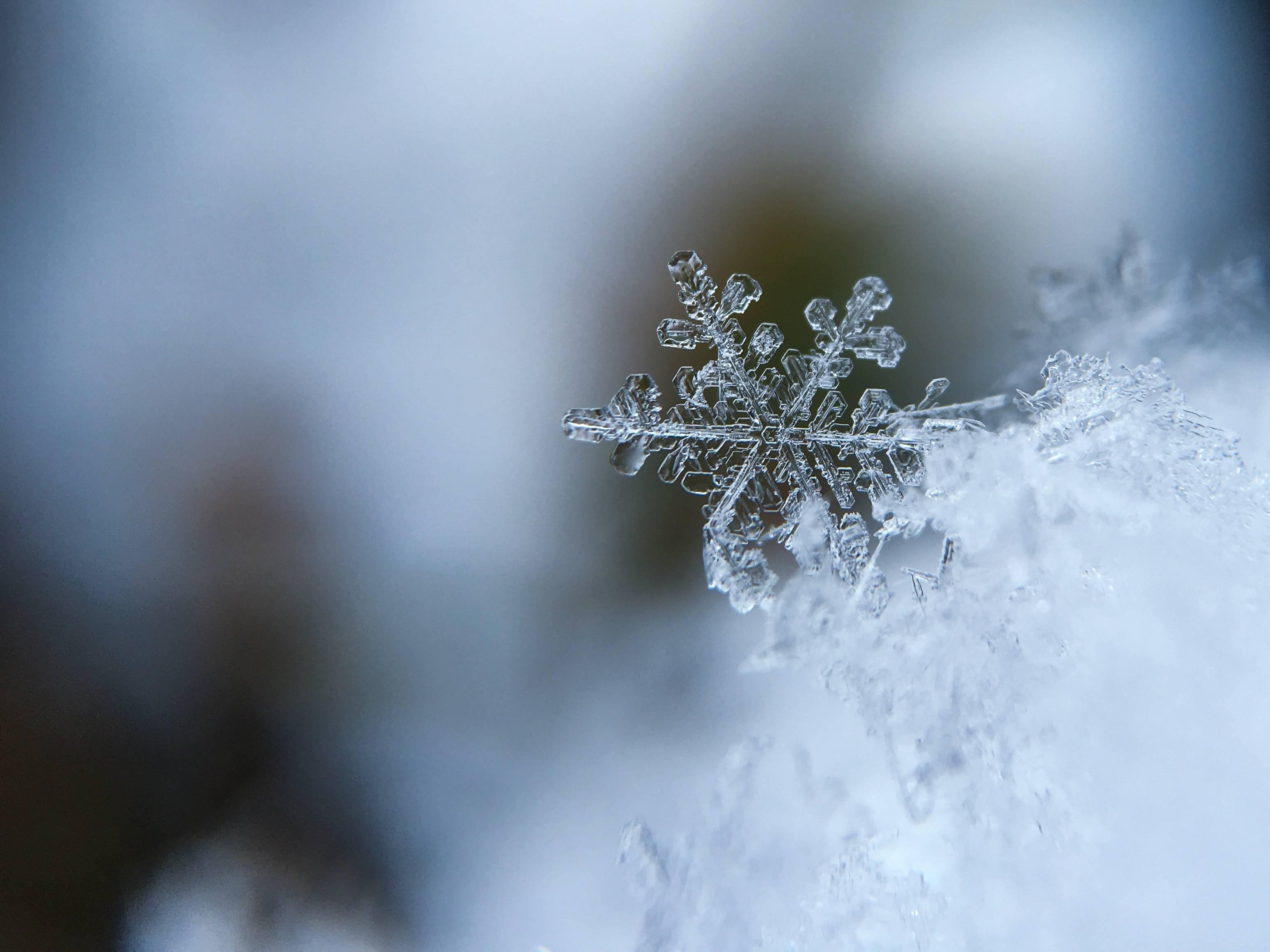 Snow Crystal Wallpapers - Top Free Snow Crystal Backgrounds ...