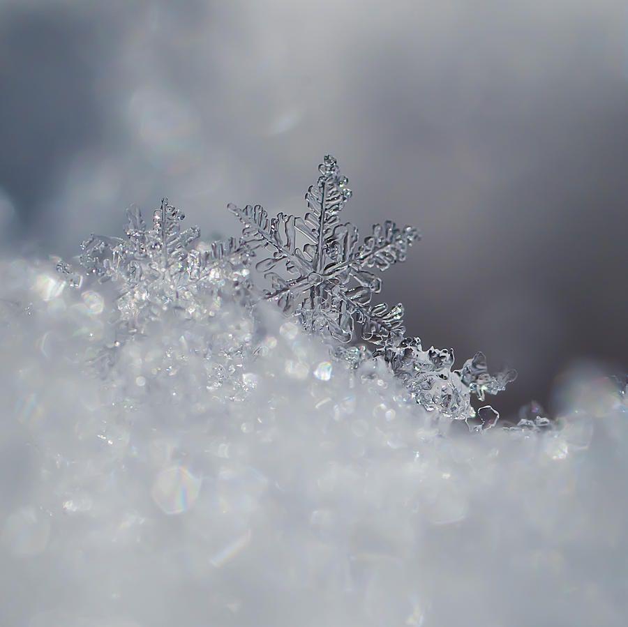 Snow Crystal Wallpapers - Top Free Snow Crystal Backgrounds ...