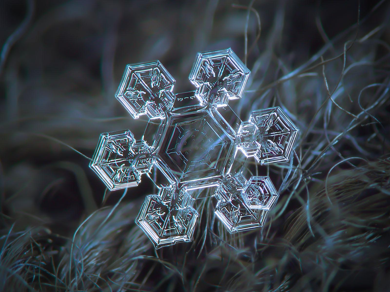 Snow Crystal Wallpapers - Top Free Snow Crystal Backgrounds ...