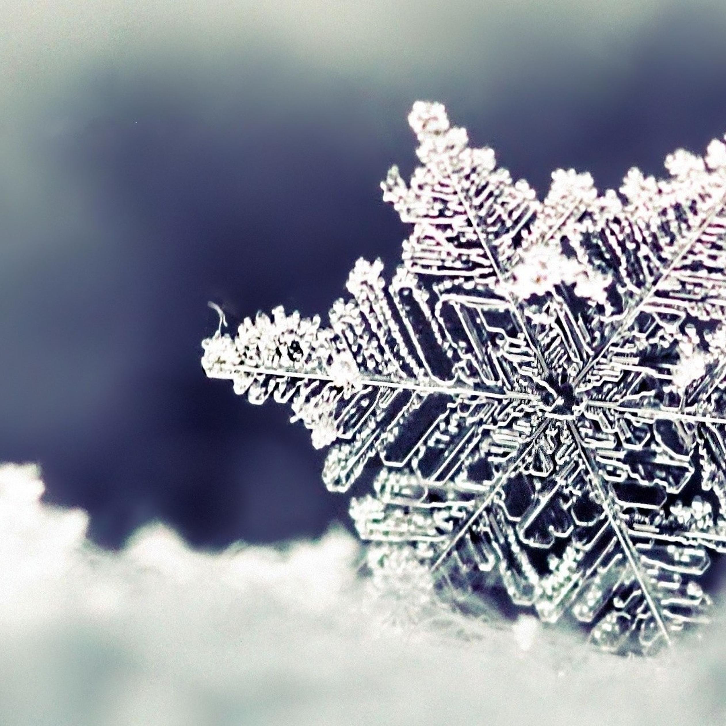 Snow Crystal Wallpapers - Top Free Snow Crystal Backgrounds ...