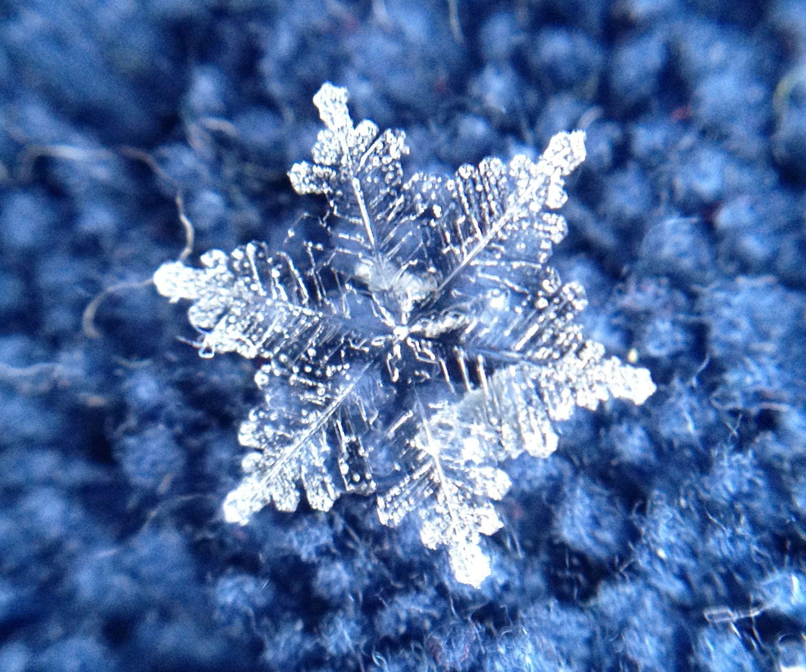 Snow Crystal Wallpapers - Top Free Snow Crystal Backgrounds ...