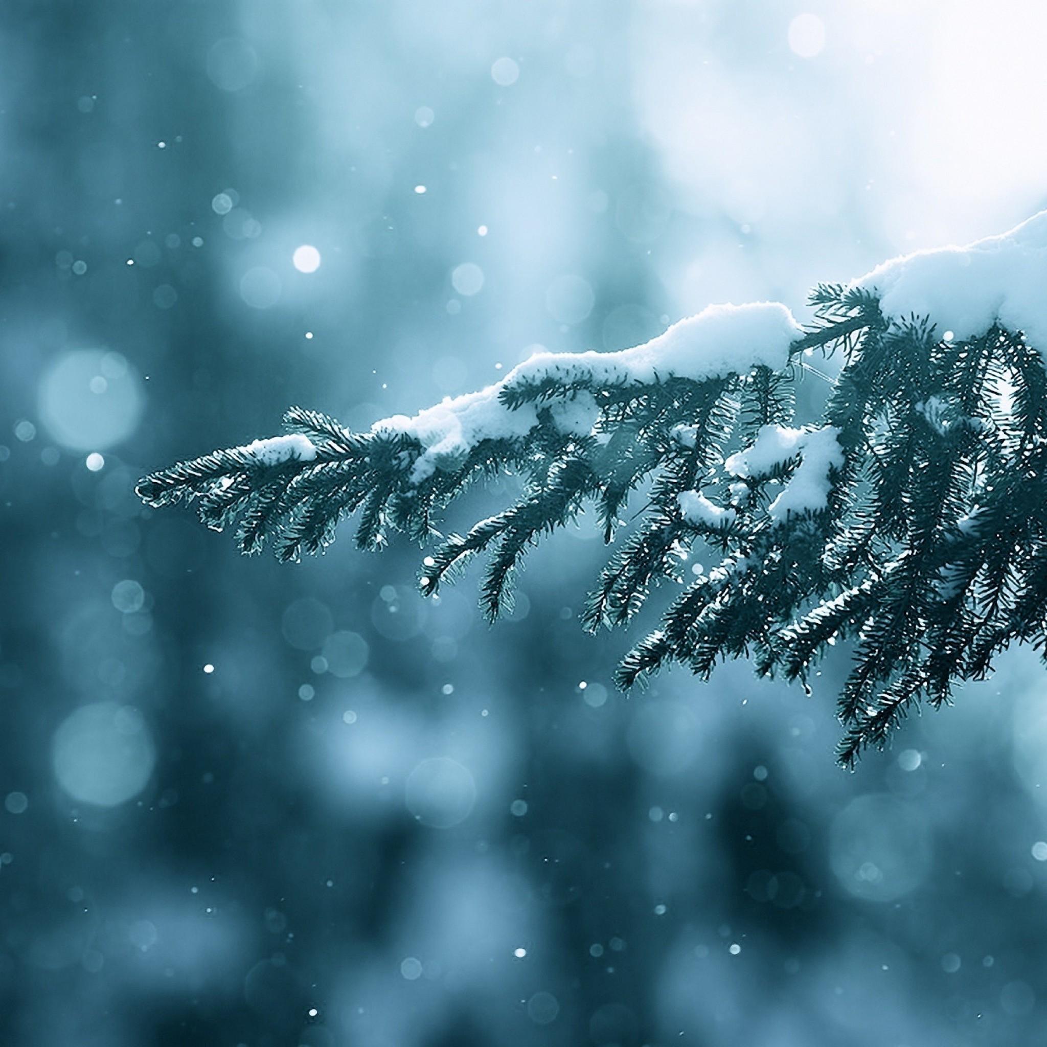 Snow Crystal Wallpapers - Top Free Snow Crystal Backgrounds ...