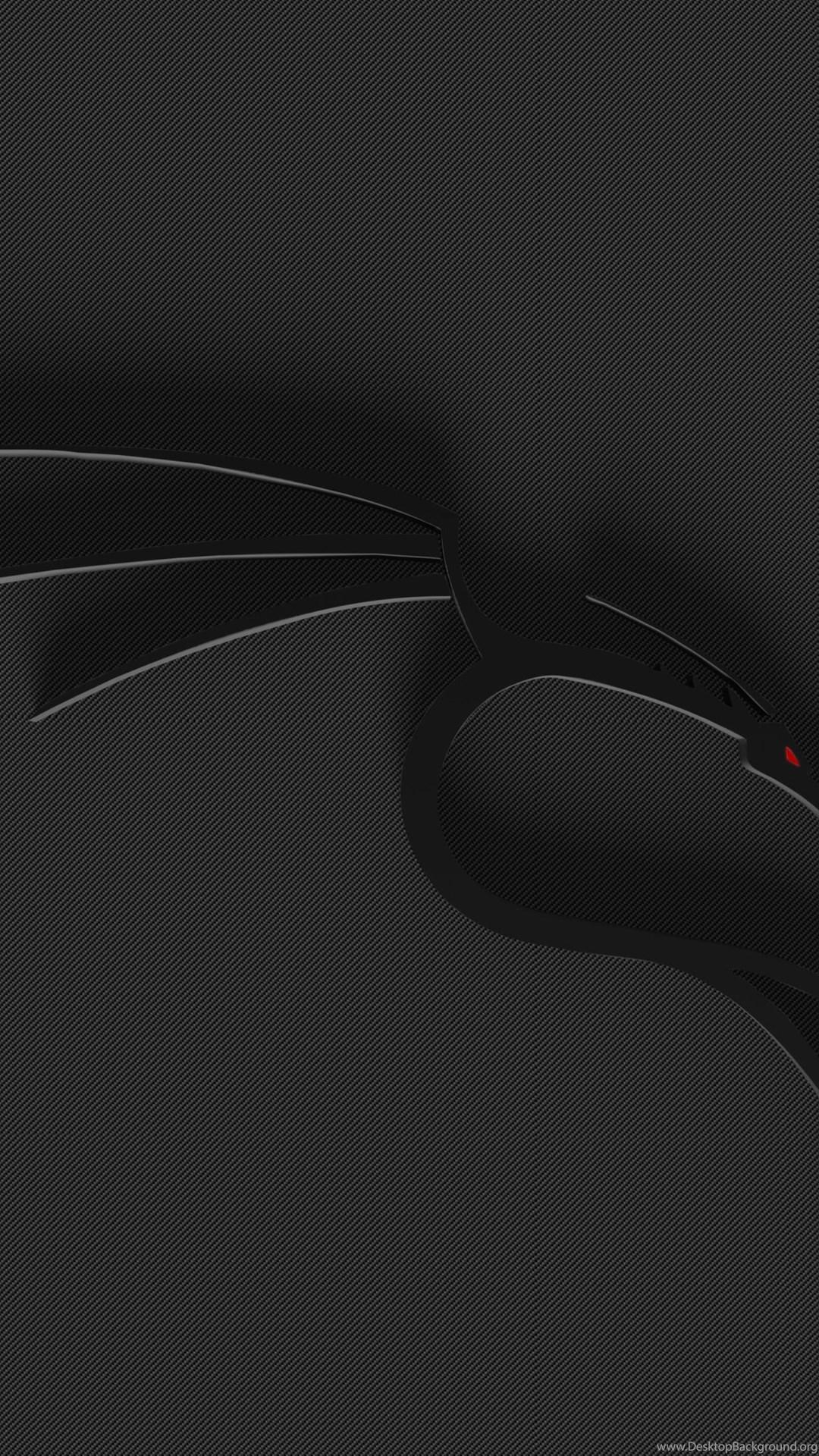 Kali Linux Phone Wallpapers - Top Free Kali Linux Phone Backgrounds ...