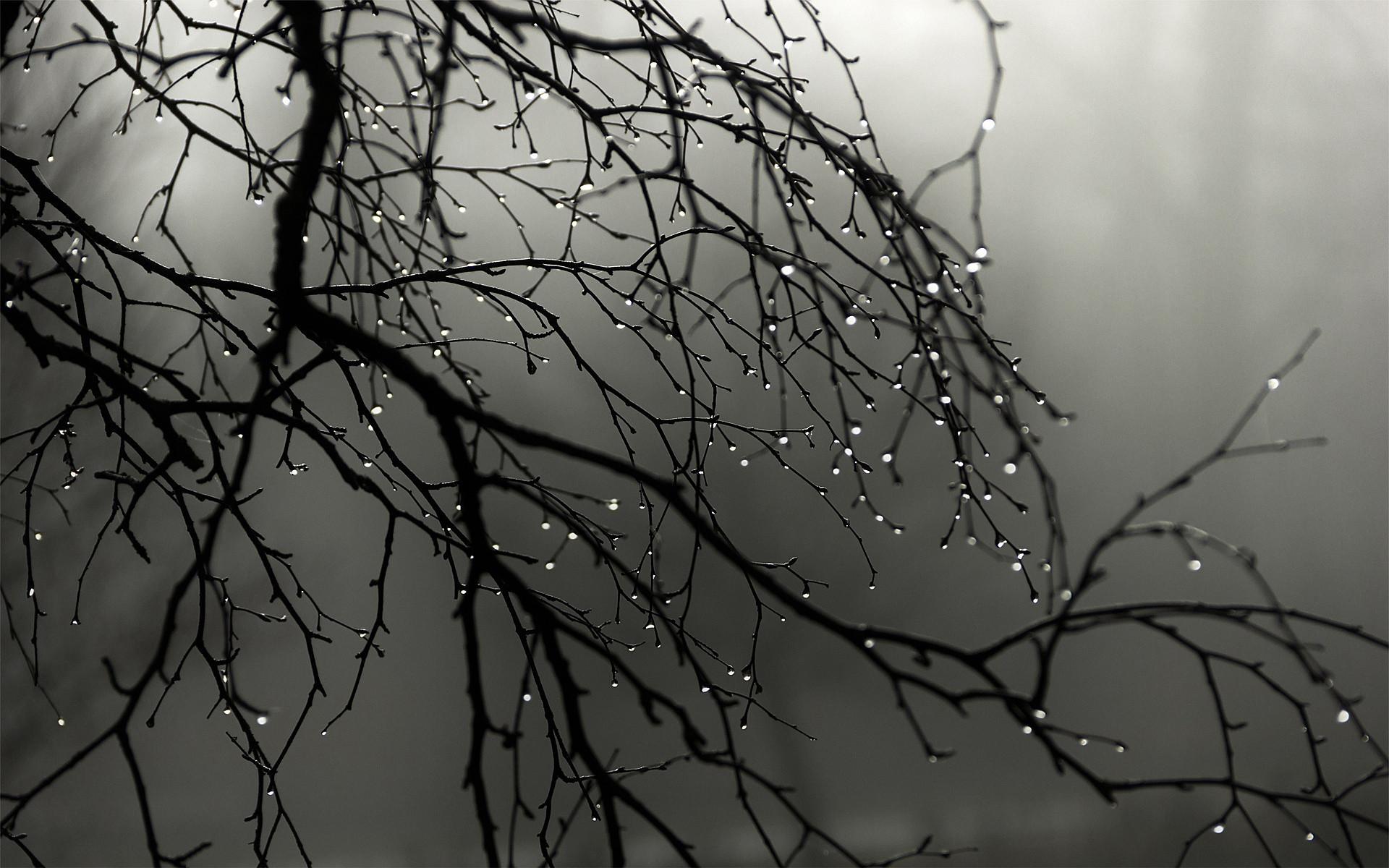 Black and White Rain Wallpapers - Top Free Black and White Rain ...