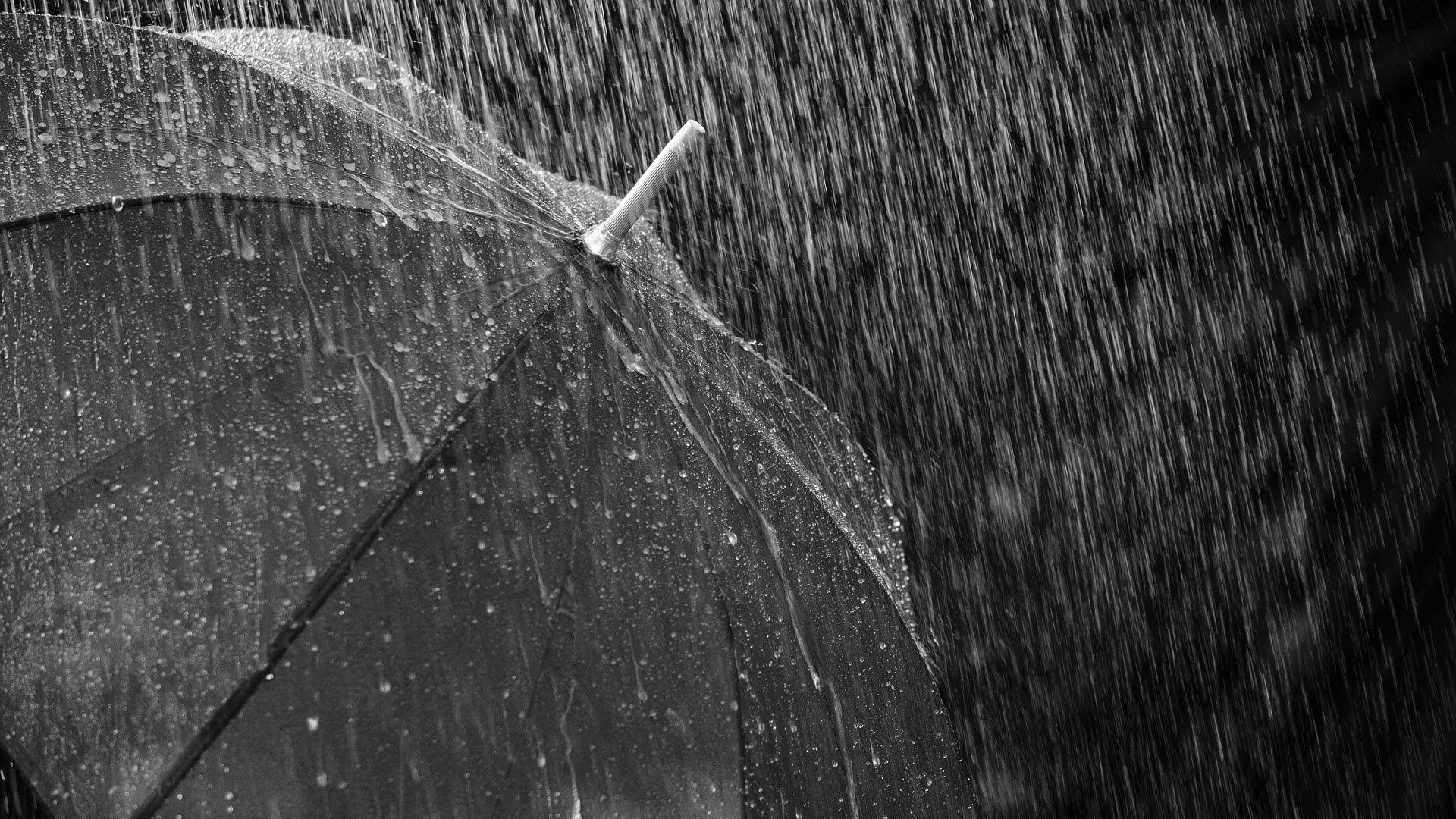 Black and White Rain Wallpapers - Top Free Black and White Rain ...