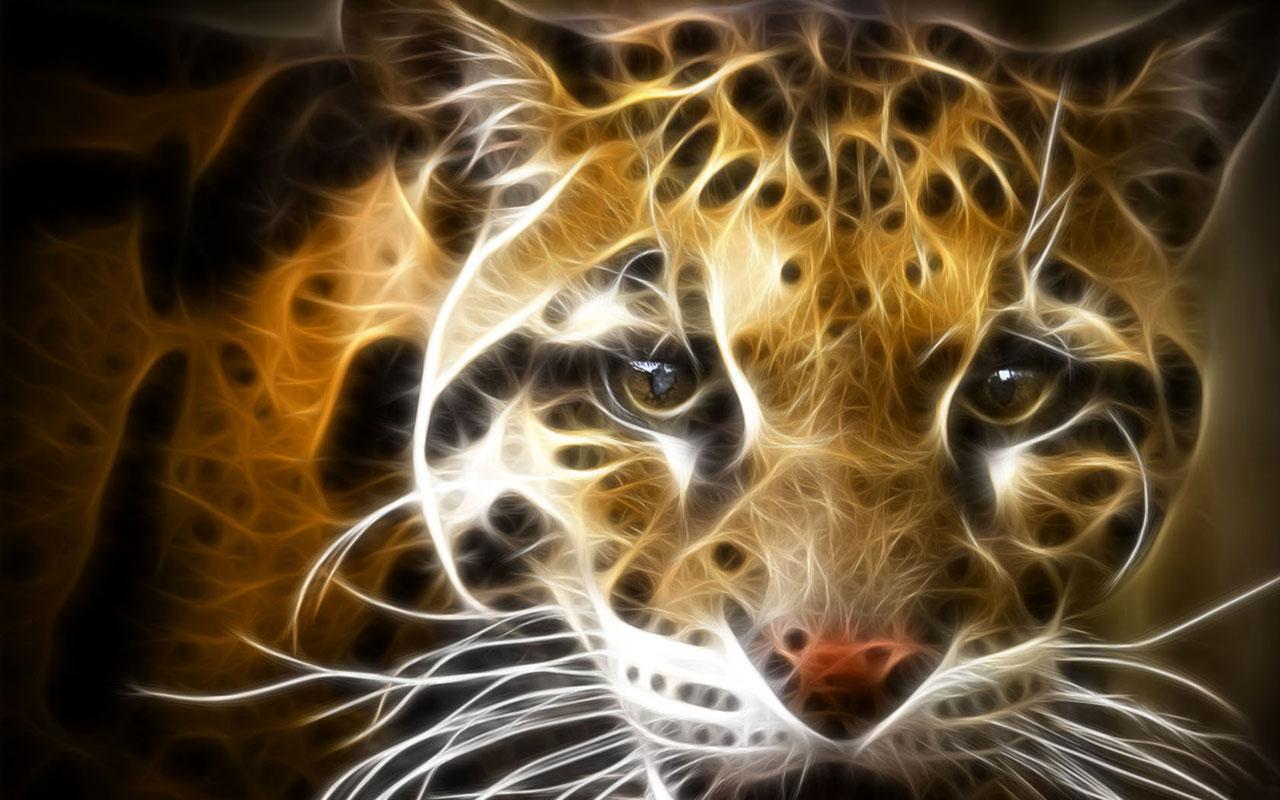 Colorful Animal Wallpapers - Top Free Colorful Animal Backgrounds ...