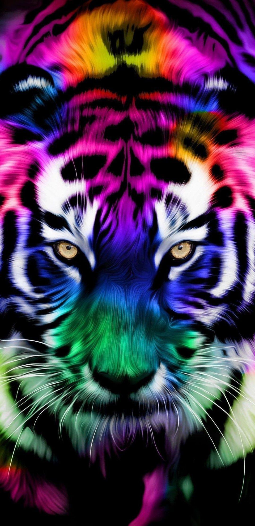 Colorful Animal Wallpapers - Top Free Colorful Animal Backgrounds ...