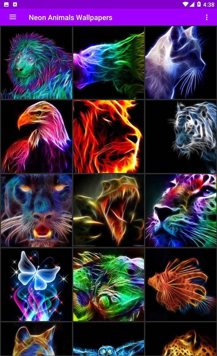 Colorful Animal Wallpapers - Top Free Colorful Animal Backgrounds ...