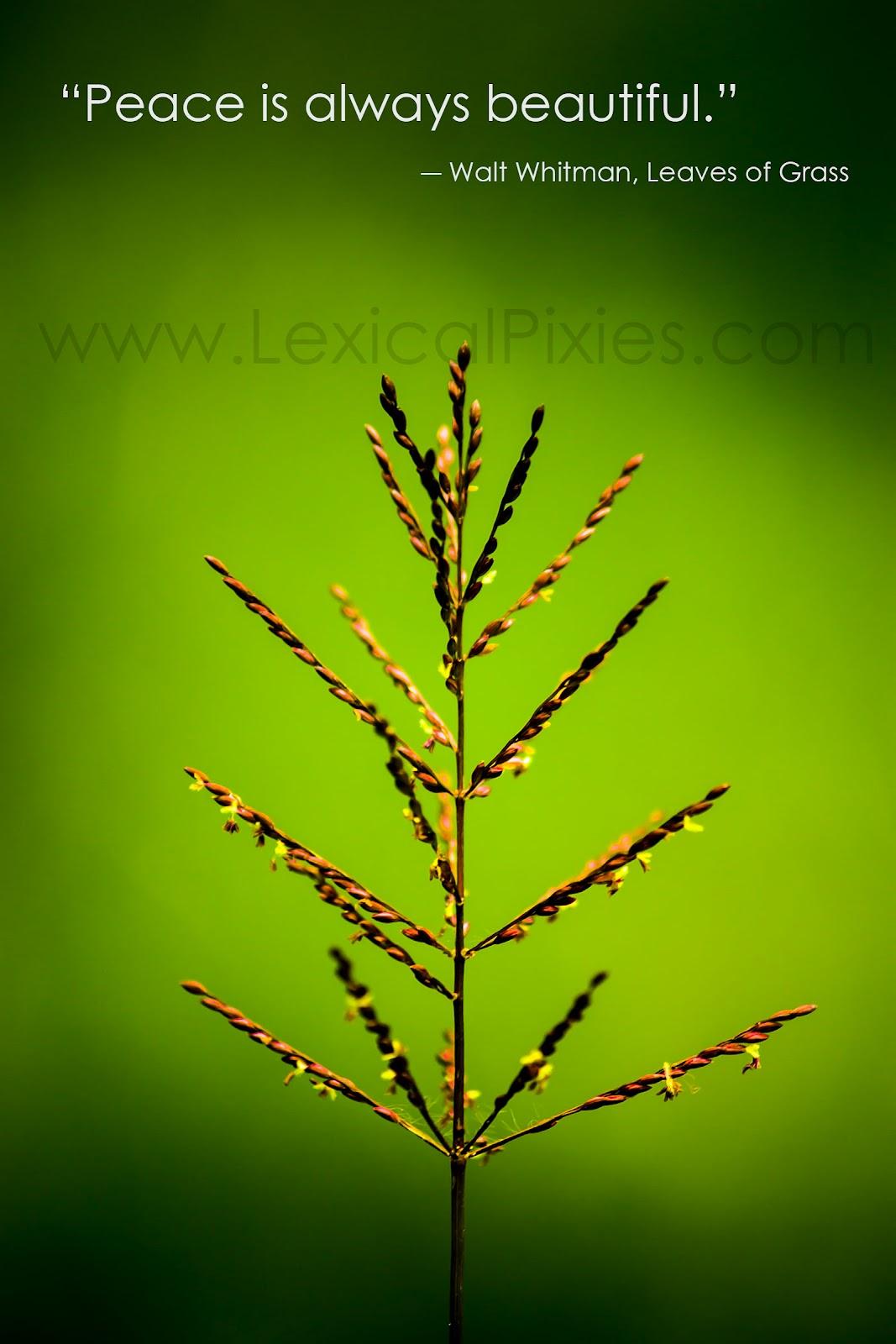 Peace Quotes Wallpapers - Top Free Peace Quotes Backgrounds ...