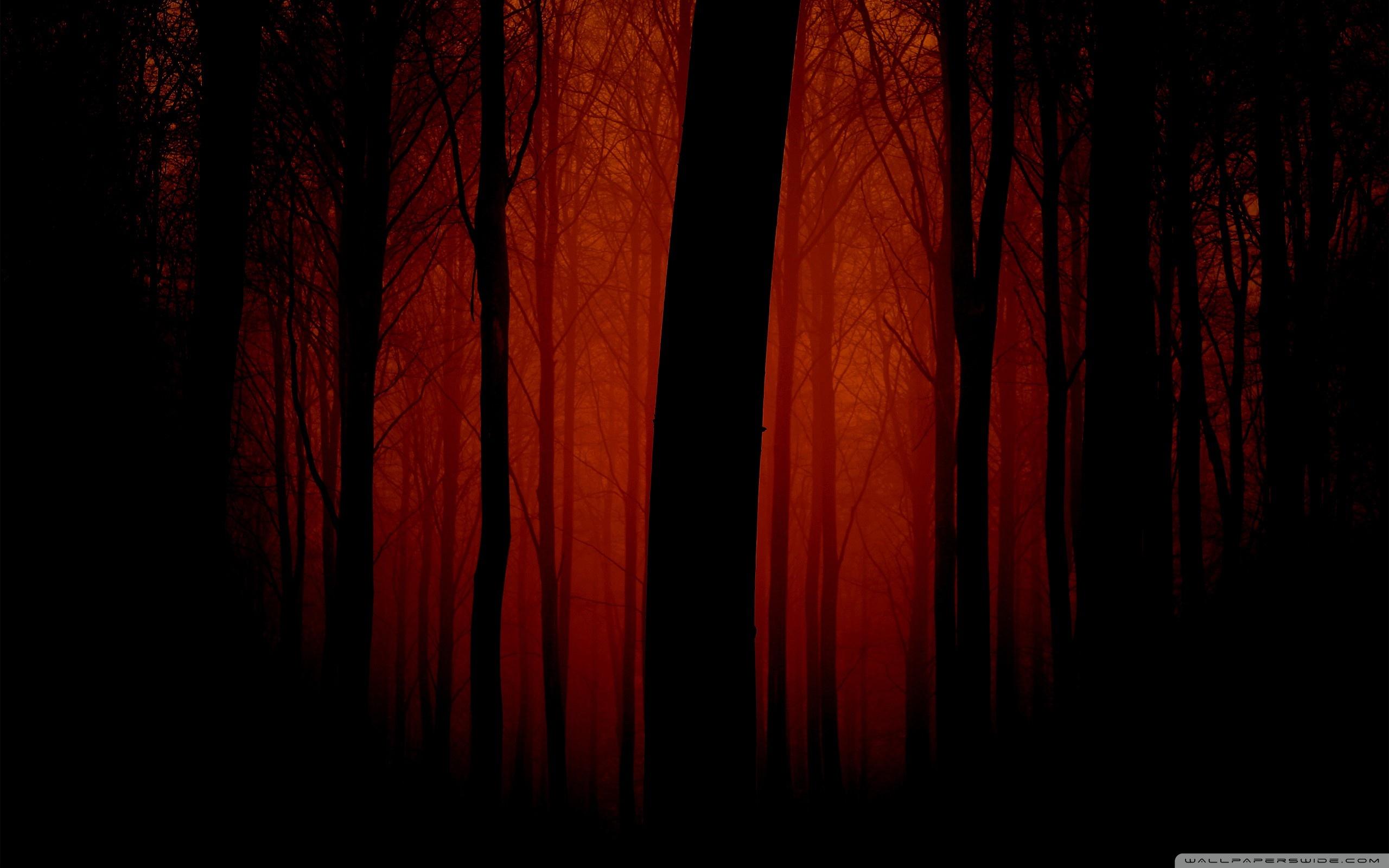 Bloody 4K Wallpapers - Top Free Bloody 4K Backgrounds - WallpaperAccess