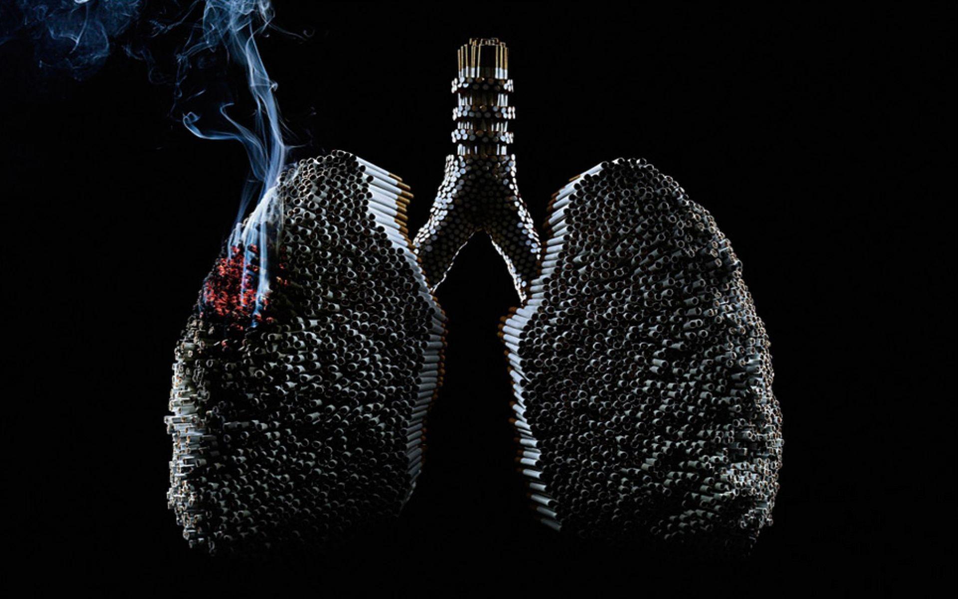 Respiratory Wallpapers - Top Free Respiratory Backgrounds - WallpaperAccess