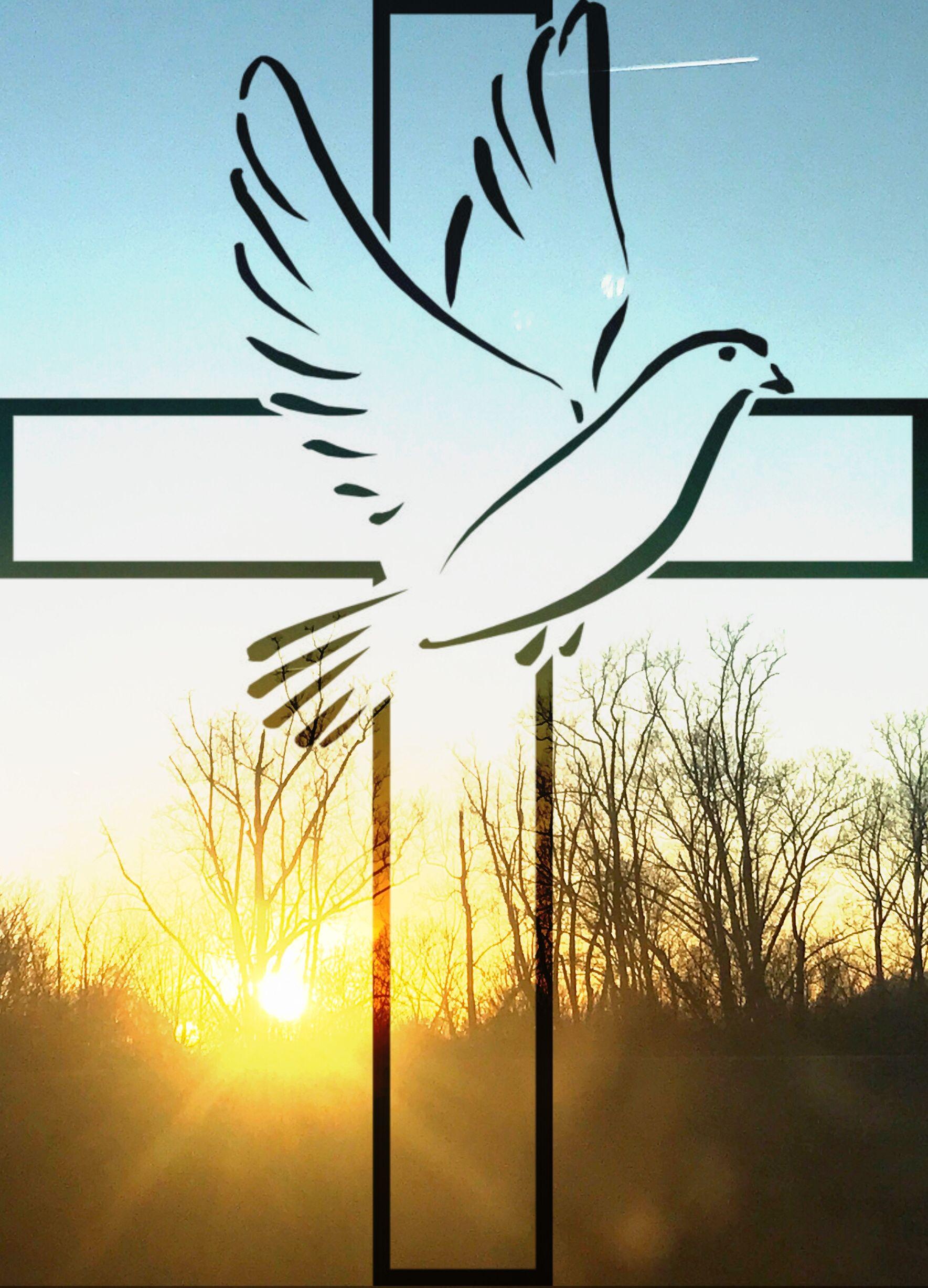 Holy Spirit Cross Wallpapers - Top Free Holy Spirit Cross Backgrounds ...