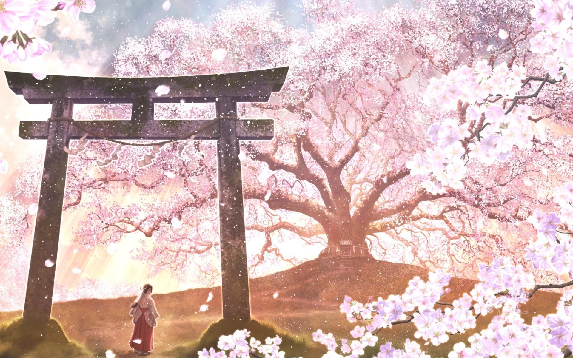 Japanese Sakura Trees Wallpapers - Top Free Japanese Sakura Trees ...