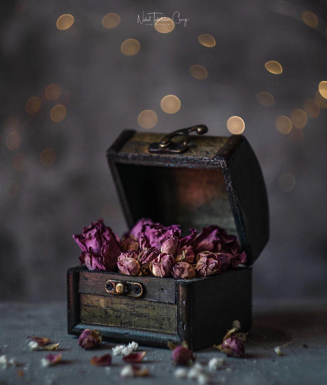 Treasure Chest Wallpapers - Top Free Treasure Chest Backgrounds ...
