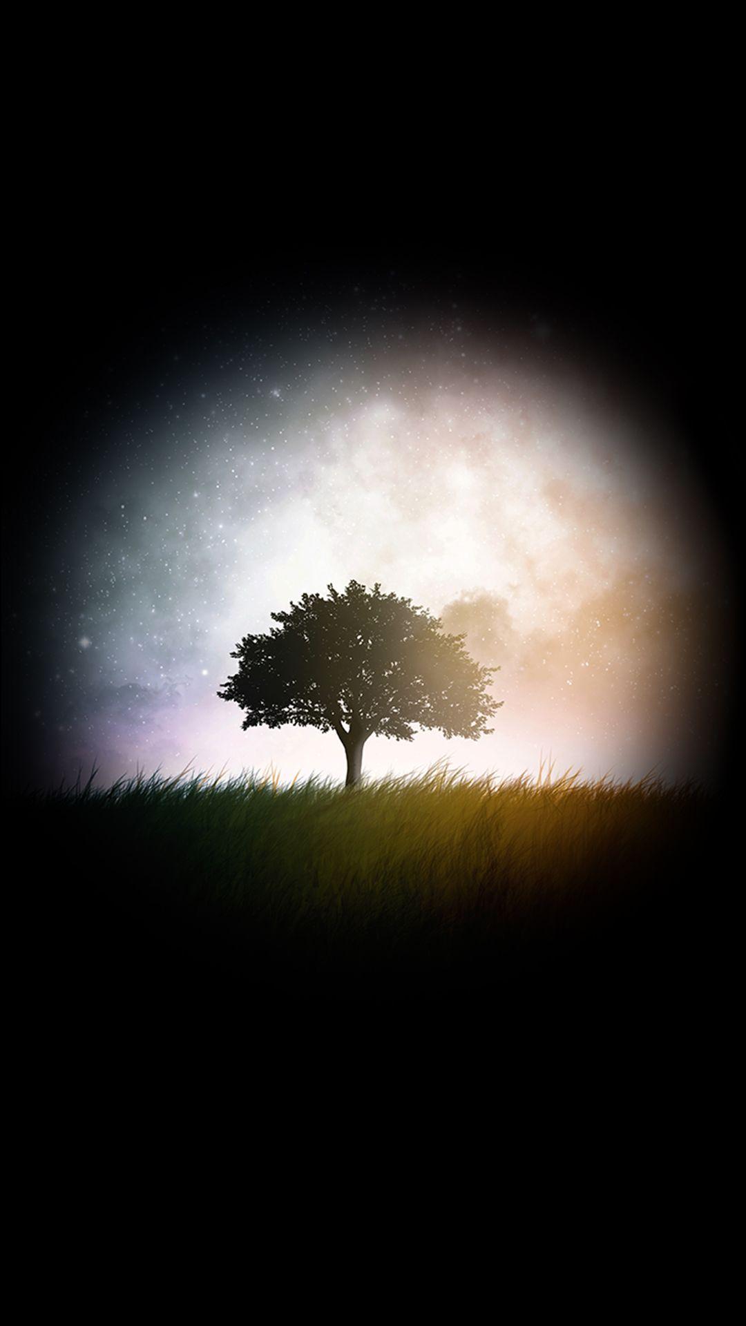 Sad Tree Wallpapers - Top Free Sad Tree Backgrounds - WallpaperAccess
