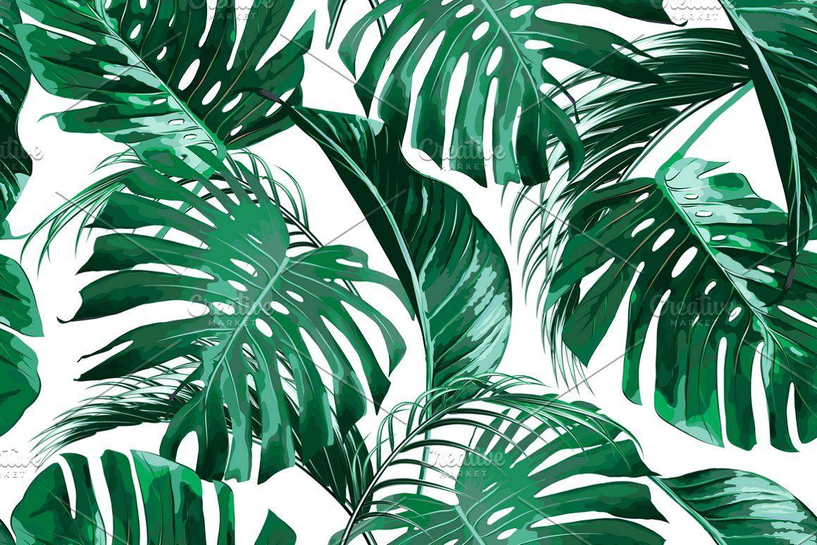Jungle Leaf Wallpapers - Top Free Jungle Leaf Backgrounds - WallpaperAccess