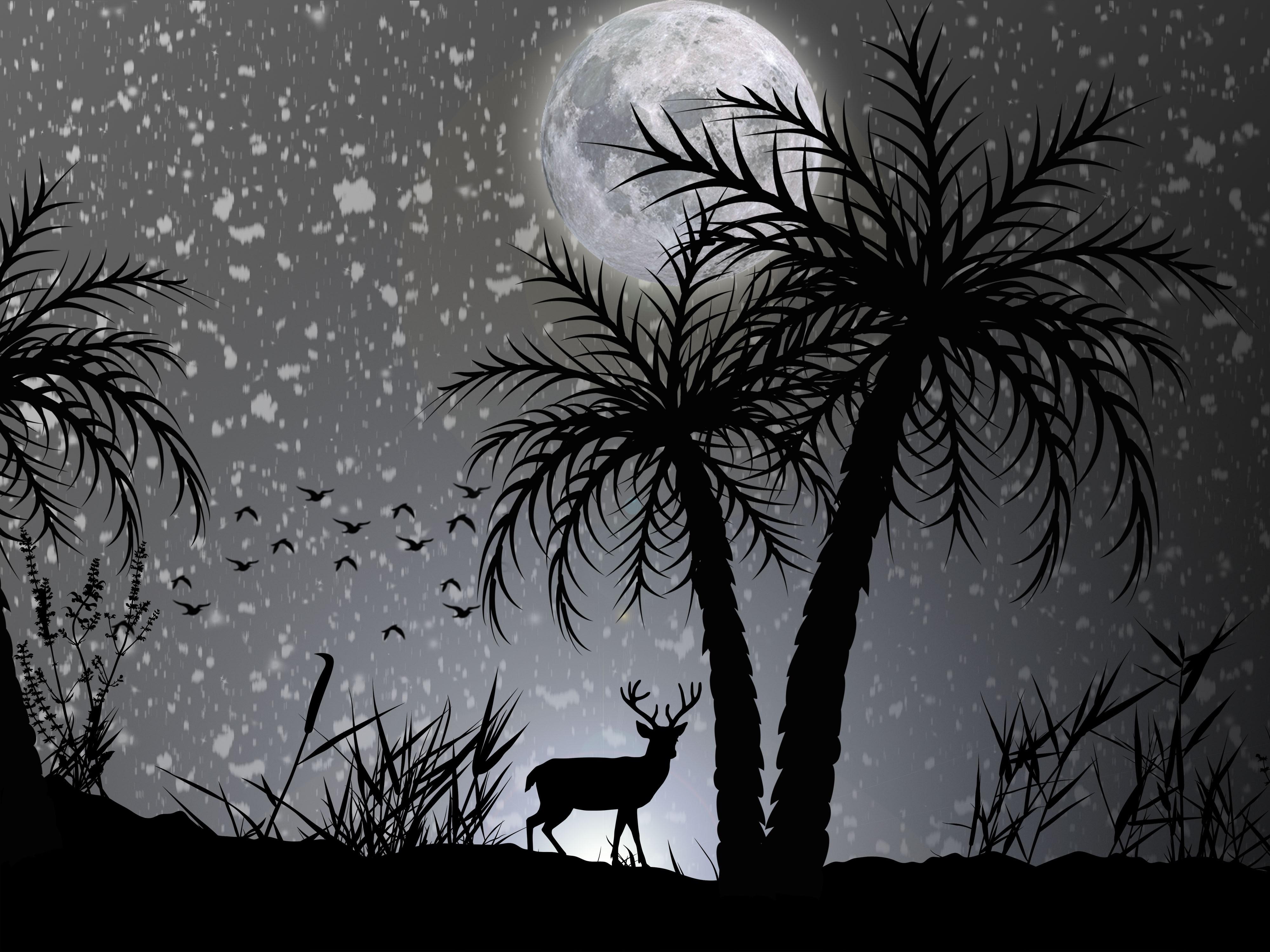 Minimalist Deer Wallpapers - Top Free Minimalist Deer Backgrounds ...