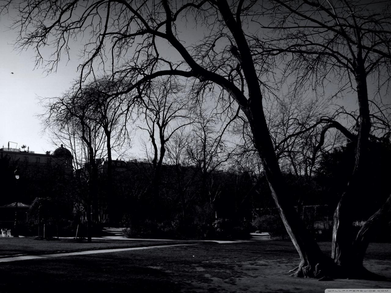 Sad Tree Wallpapers - Top Free Sad Tree Backgrounds - WallpaperAccess