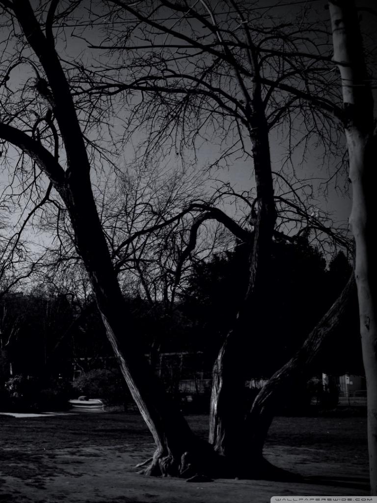 Sad Tree Wallpapers - Top Free Sad Tree Backgrounds - WallpaperAccess