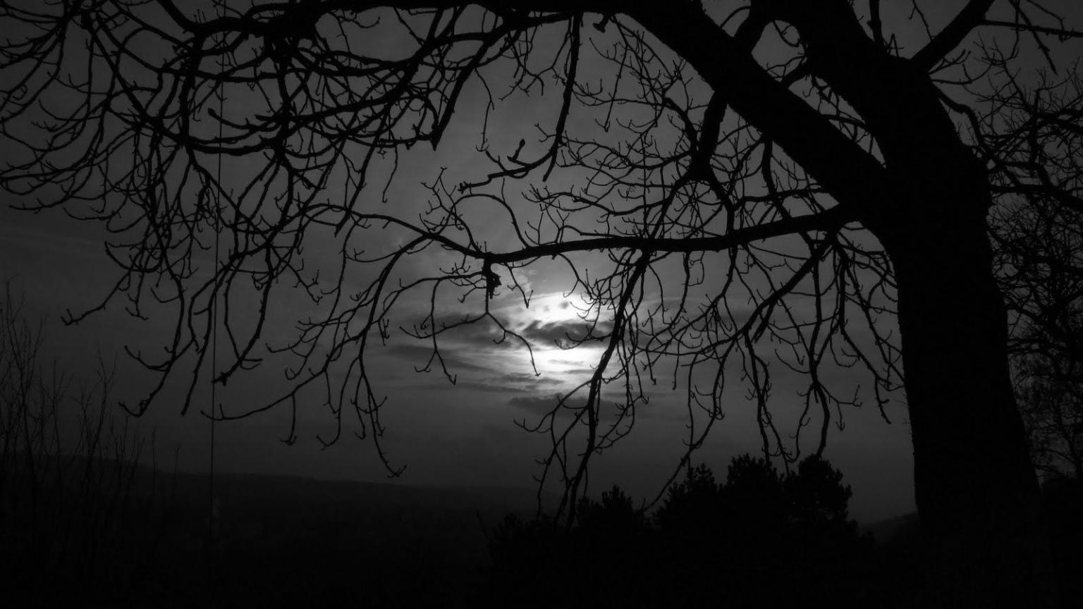 Sad Tree Wallpapers - Top Free Sad Tree Backgrounds - WallpaperAccess