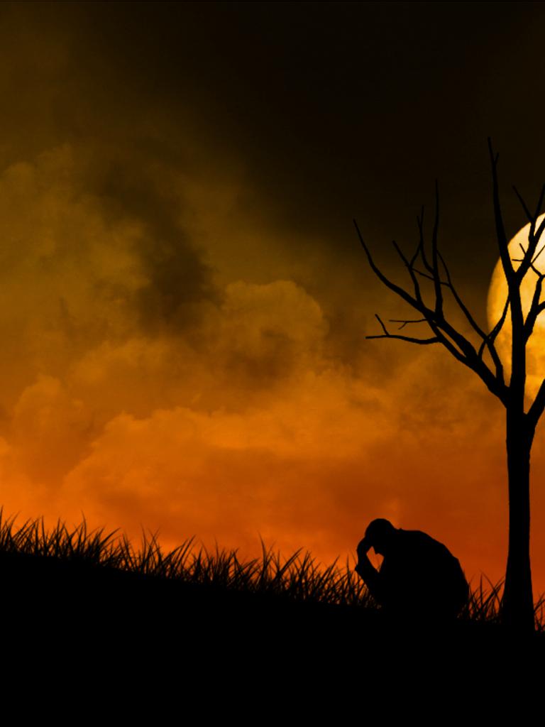 Sad Tree Wallpapers - Top Free Sad Tree Backgrounds - WallpaperAccess