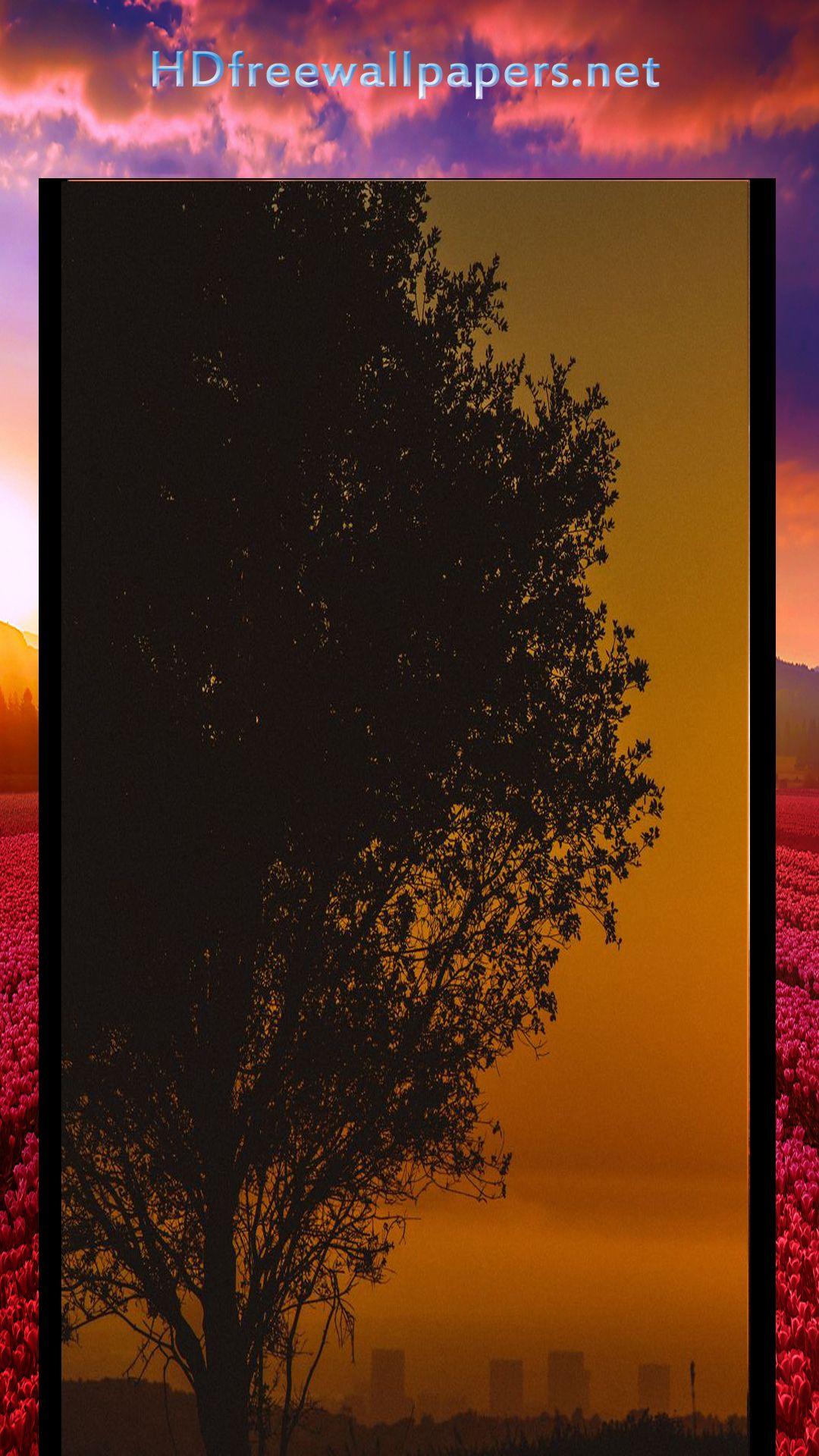 Sad Tree Wallpapers - Top Free Sad Tree Backgrounds - WallpaperAccess