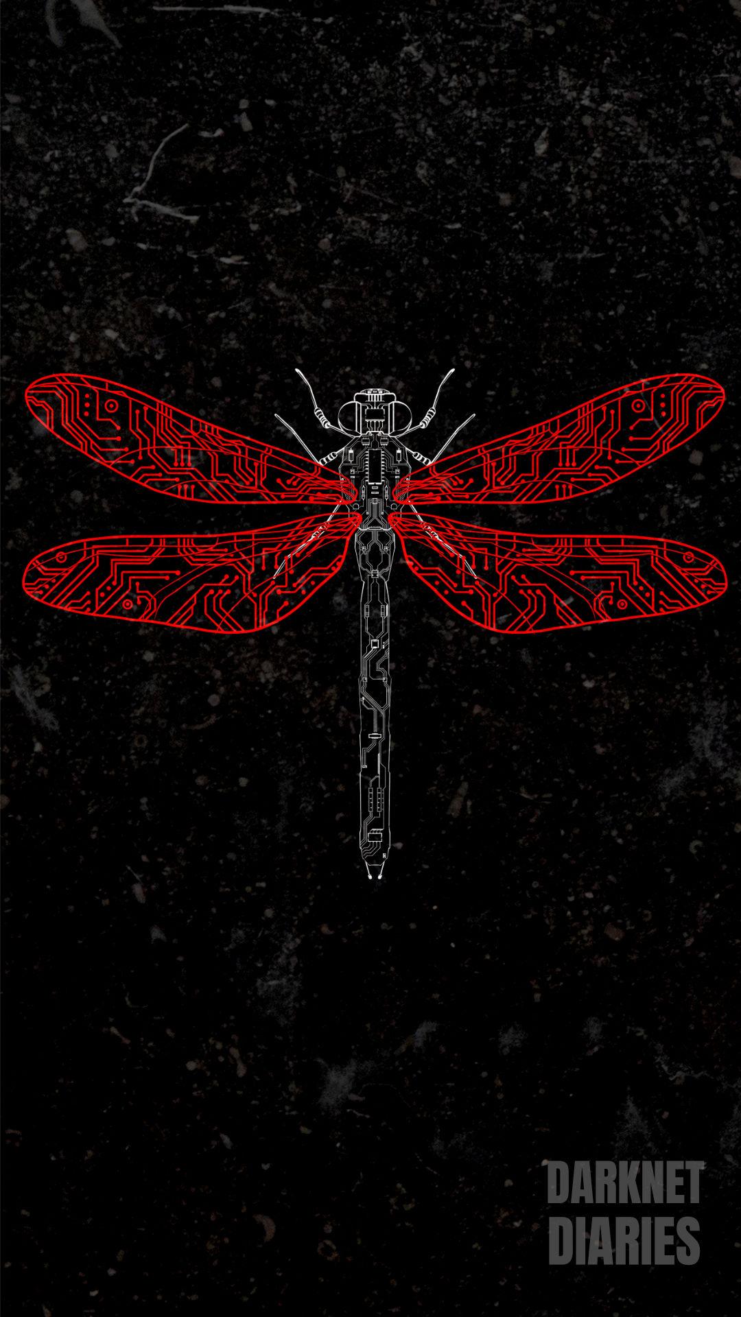 Darknet Wallpapers - Top Free Darknet Backgrounds - WallpaperAccess