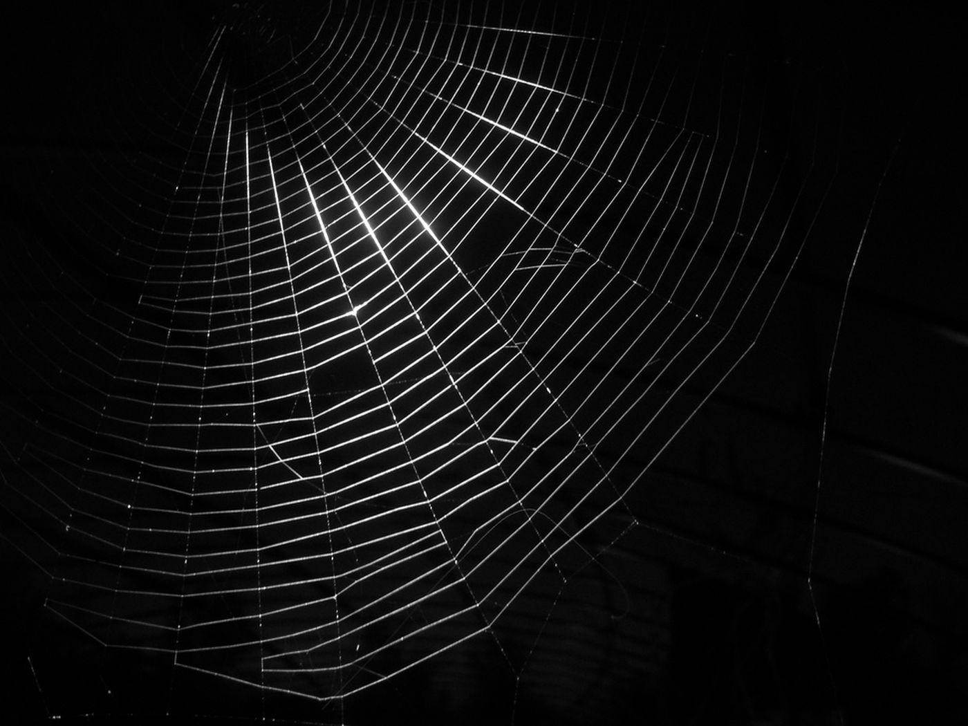 Darknet Wallpapers - Top Free Darknet Backgrounds - WallpaperAccess