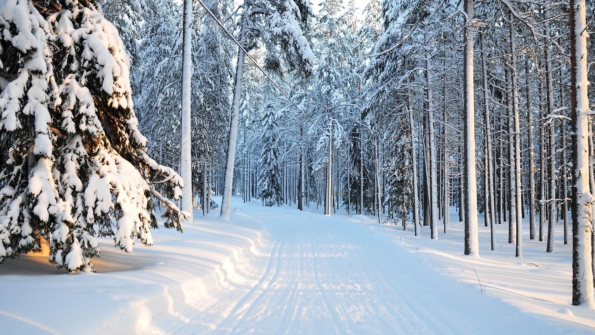 Snow Nature 1920X1080 Wallpapers - Top Free Snow Nature 1920X1080 ...