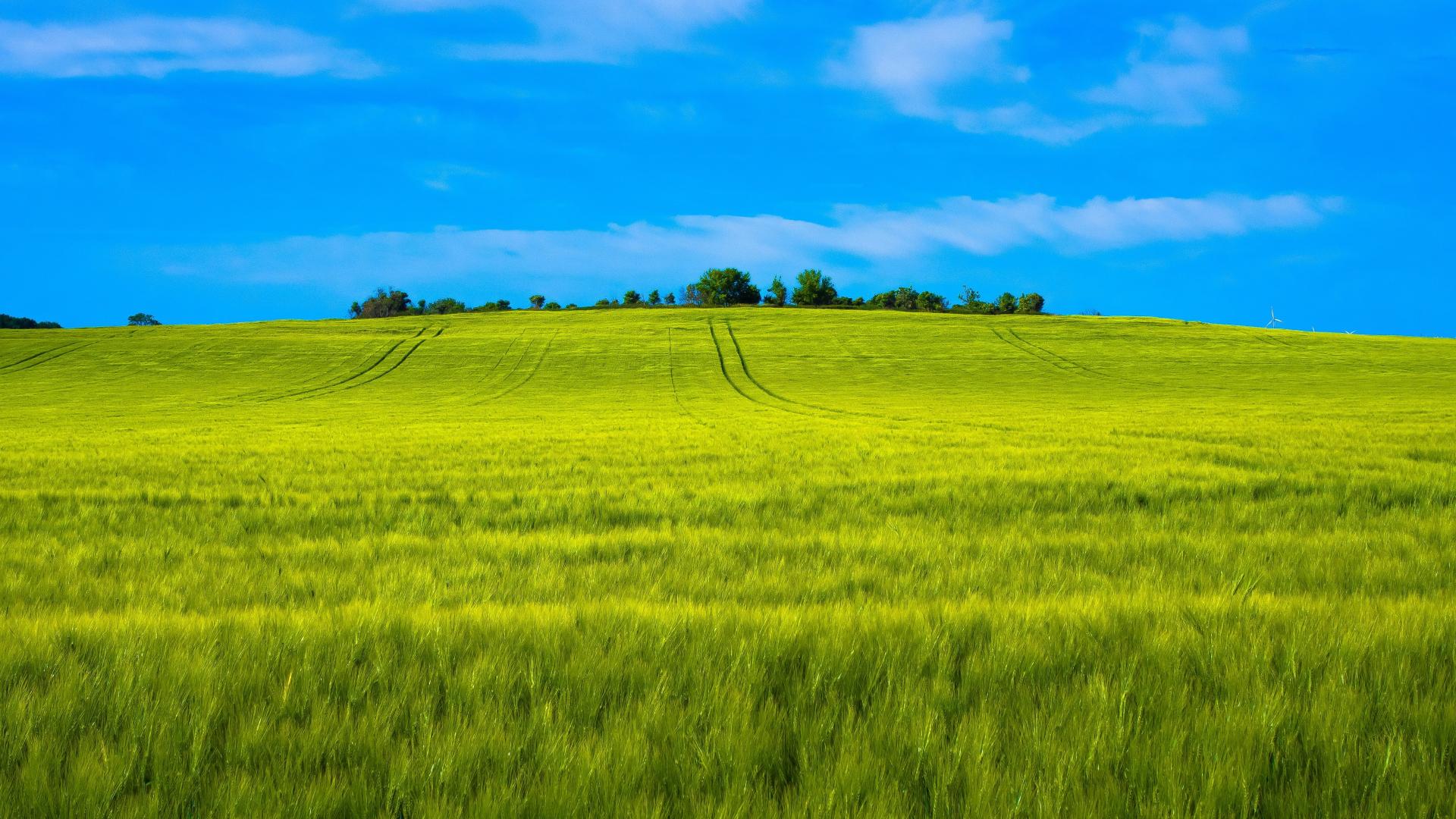 1920X1080 Farm Wallpapers - Top Free 1920X1080 Farm Backgrounds ...