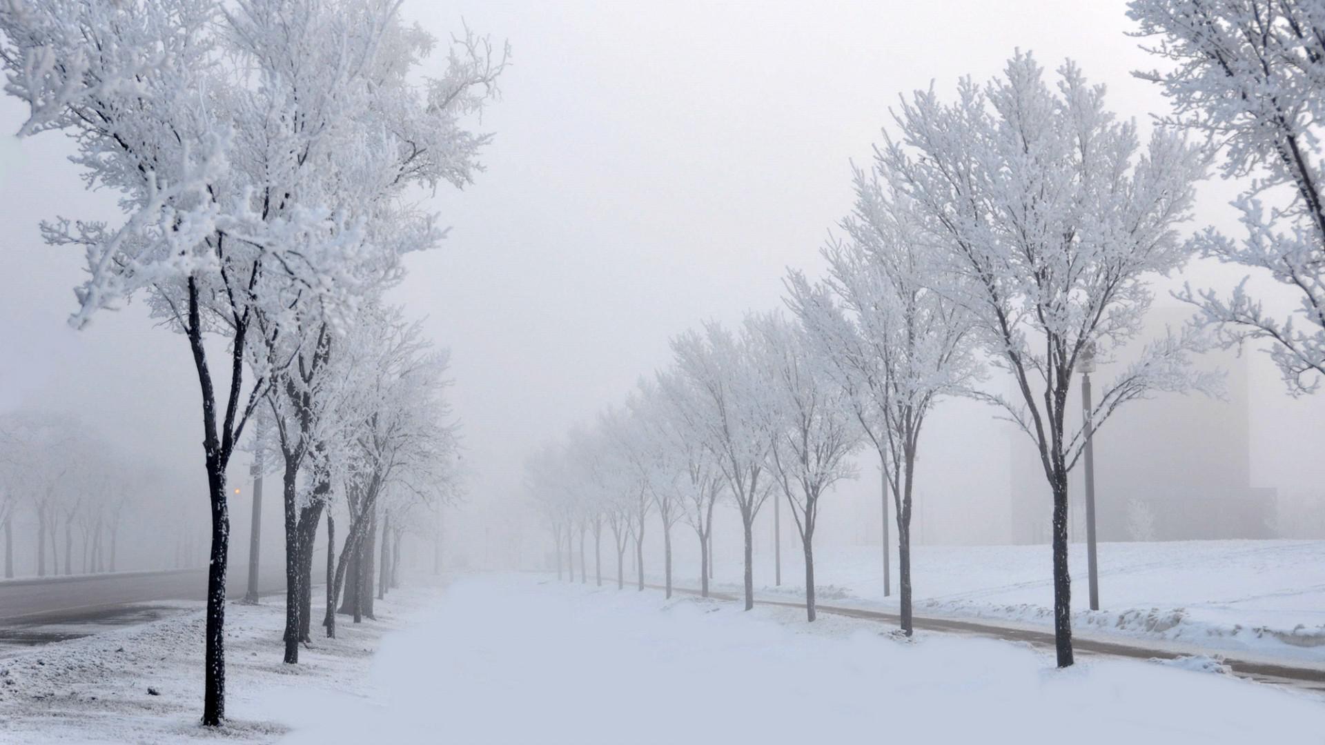 Snow Nature 1920X1080 Wallpapers - Top Free Snow Nature 1920X1080 ...