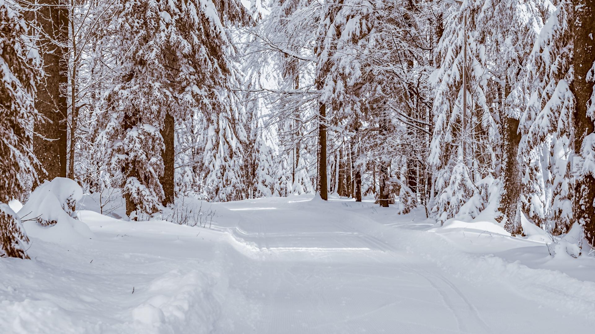 Snow Nature 1920X1080 Wallpapers - Top Free Snow Nature 1920X1080 ...