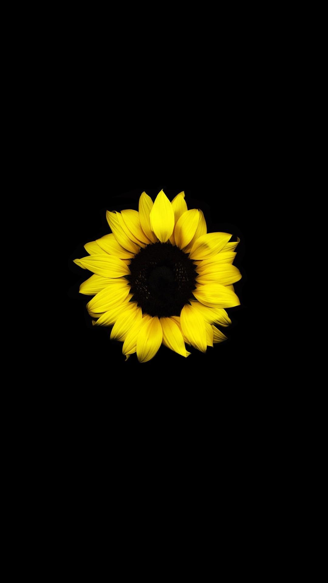 AMOLED Flower Wallpapers - Top Free AMOLED Flower Backgrounds ...
