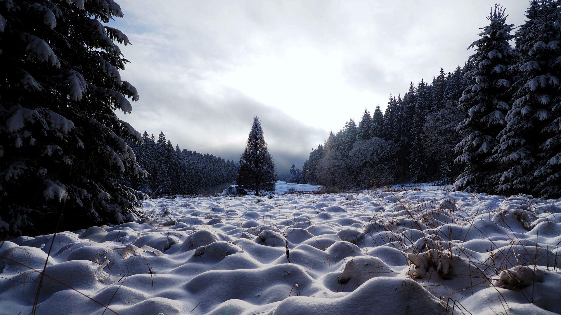 Snow Nature 1920X1080 Wallpapers - Top Free Snow Nature 1920X1080 ...