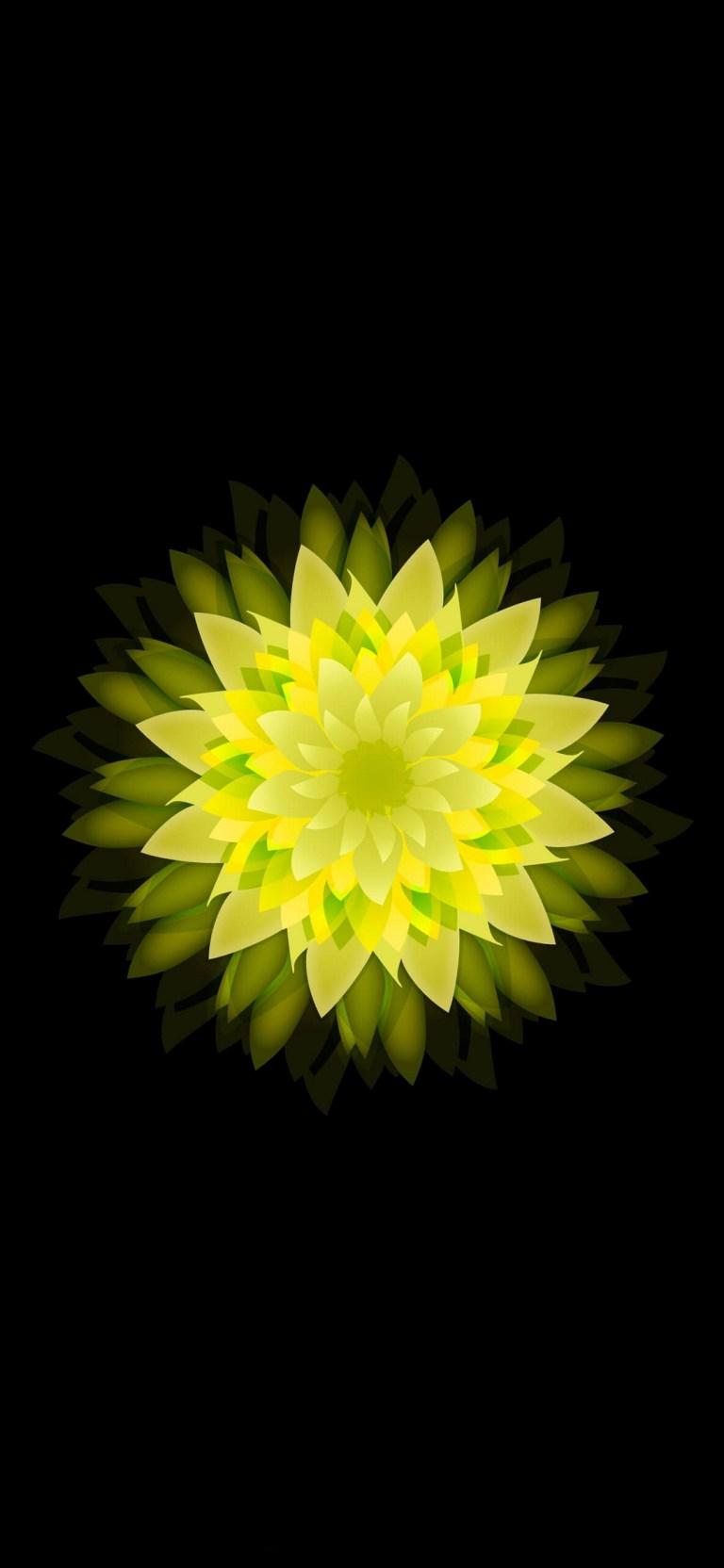 AMOLED Flower Wallpapers - Top Free AMOLED Flower Backgrounds ...