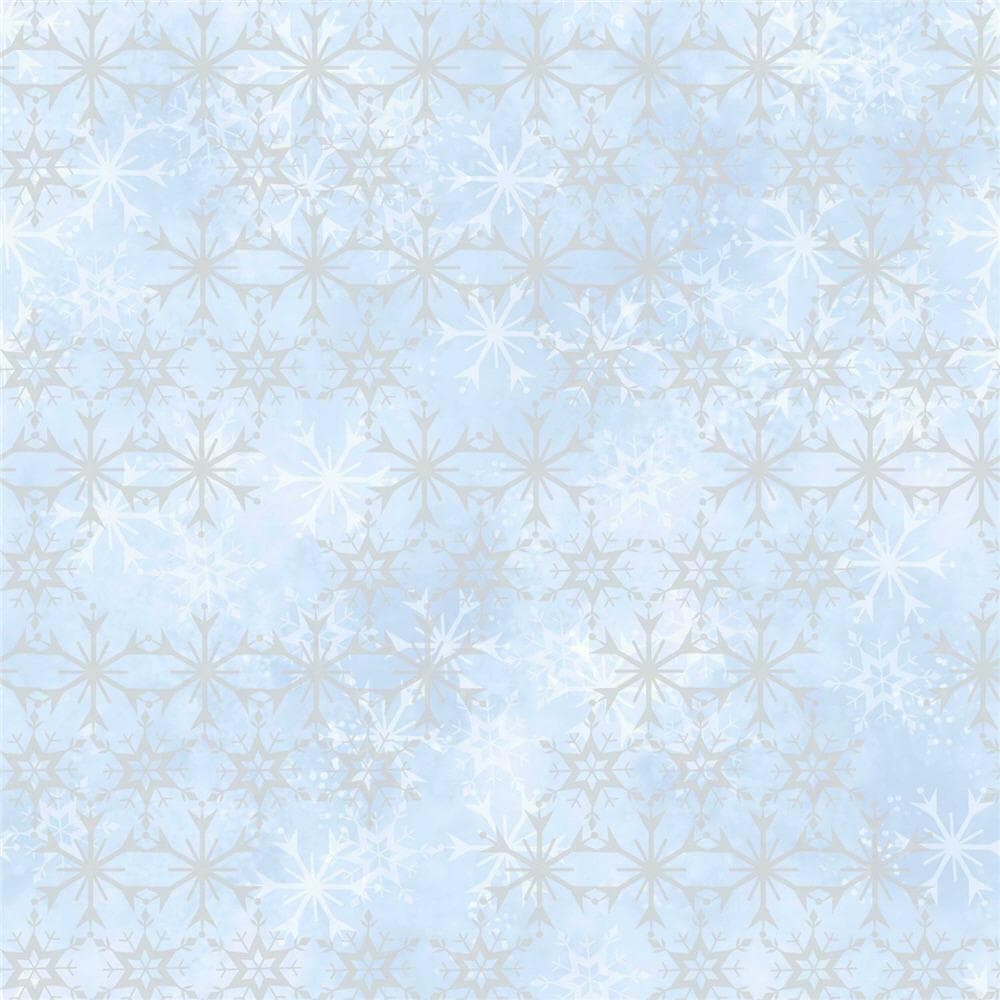 Frozen Snowflake Wallpapers - Top Free Frozen Snowflake Backgrounds ...