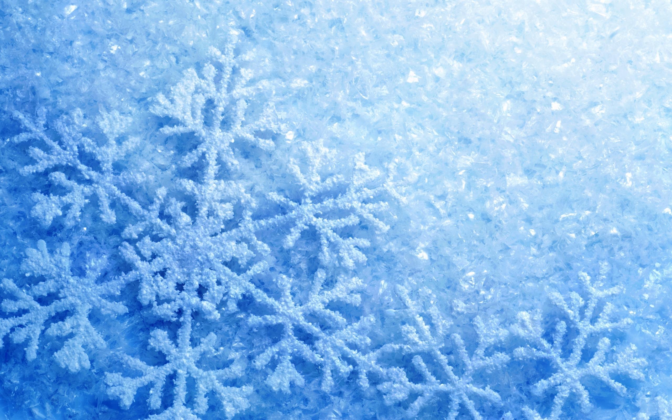 Frozen Snowflake Wallpapers - Top Free Frozen Snowflake Backgrounds ...