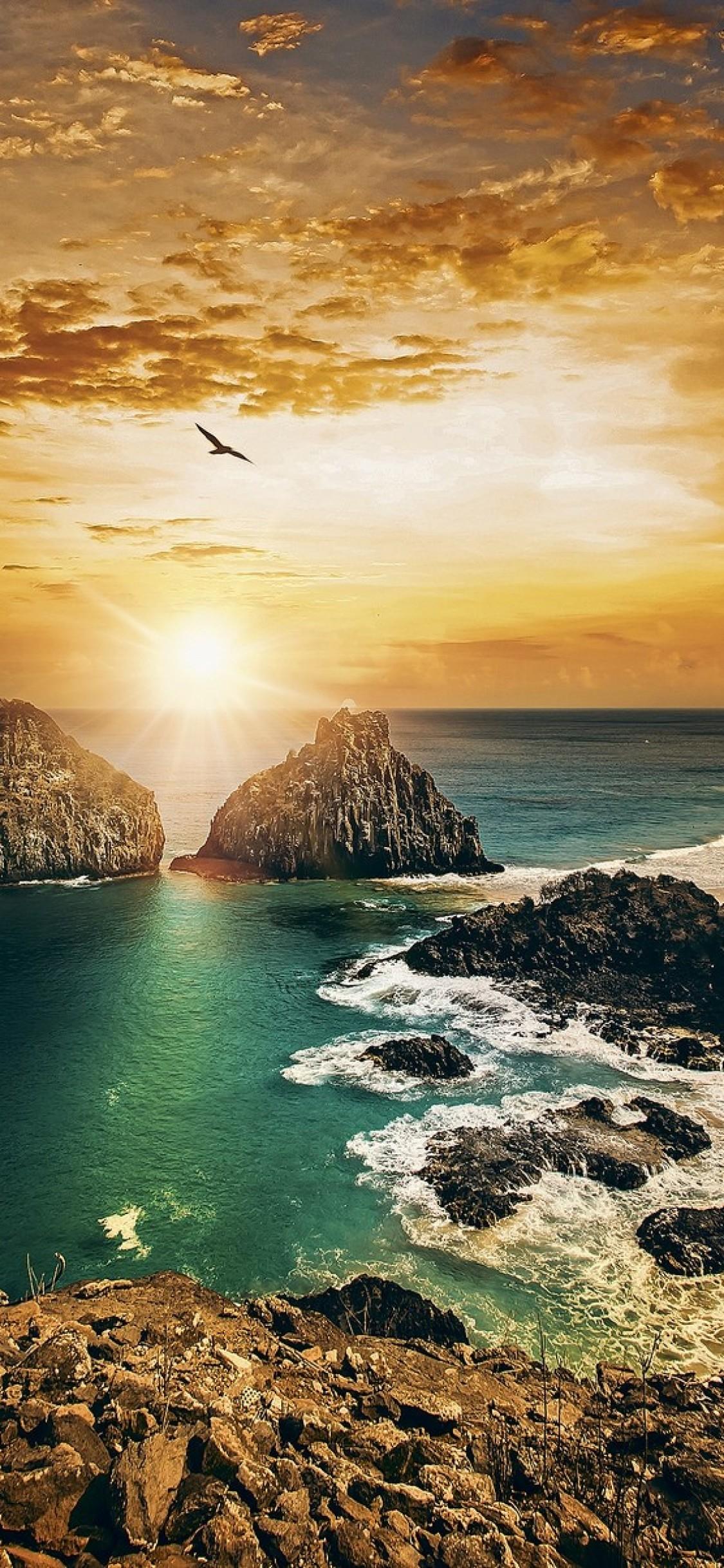 Brazil Beach iPhone Wallpapers - Top Free Brazil Beach iPhone ...