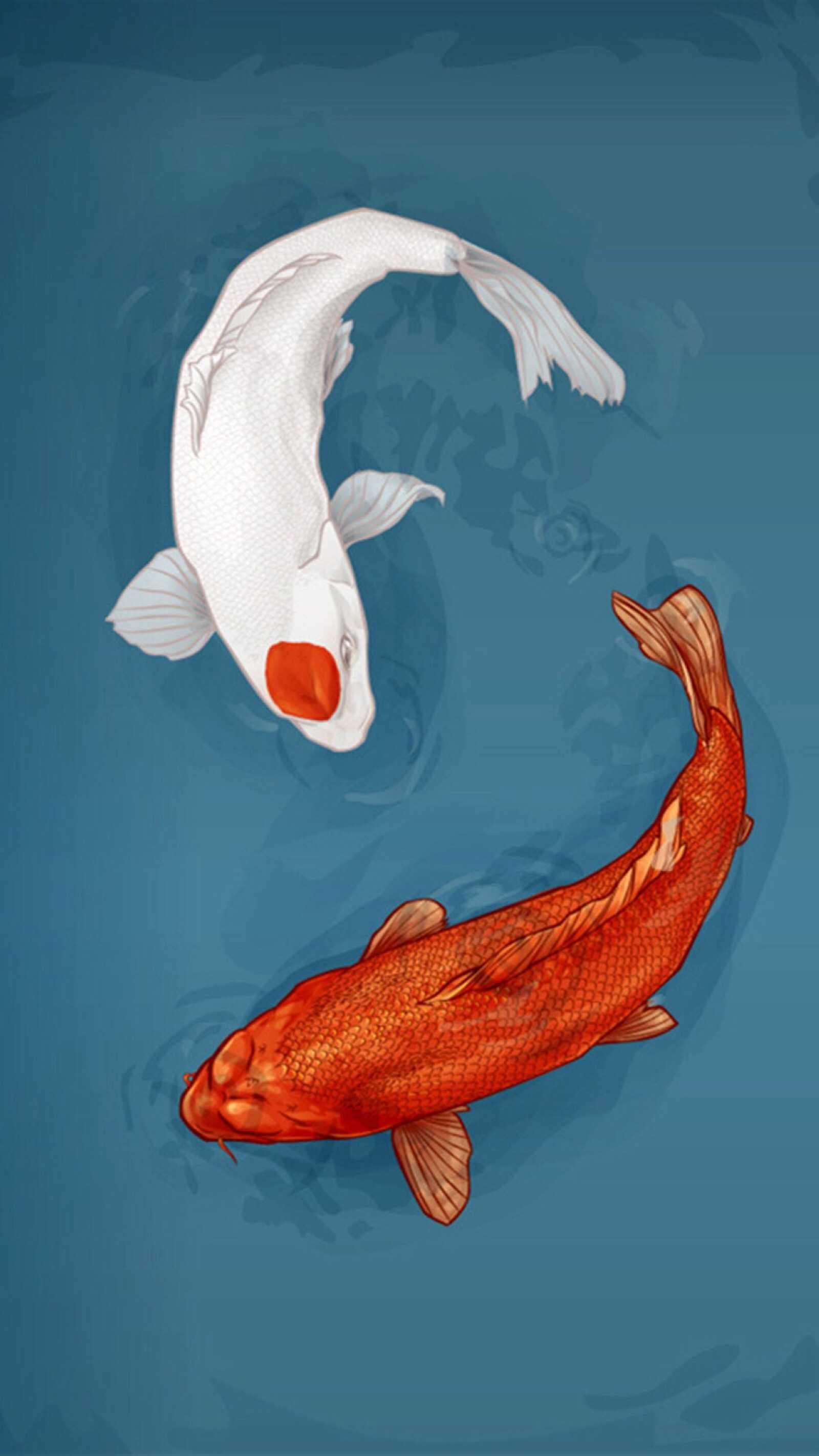 Blue Koi Wallpapers - Top Free Blue Koi Backgrounds - WallpaperAccess