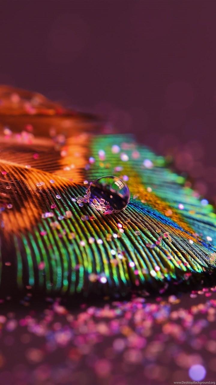 Feather Phone Wallpapers - Top Free Feather Phone Backgrounds ...