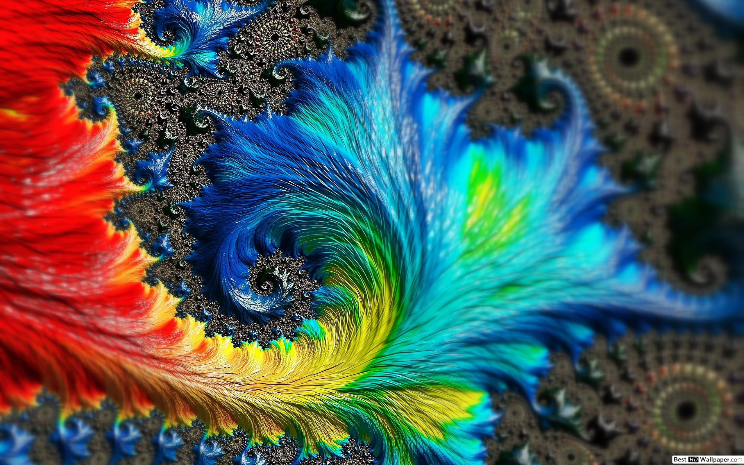 Colorful Feather Wallpapers - Top Free Colorful Feather Backgrounds ...