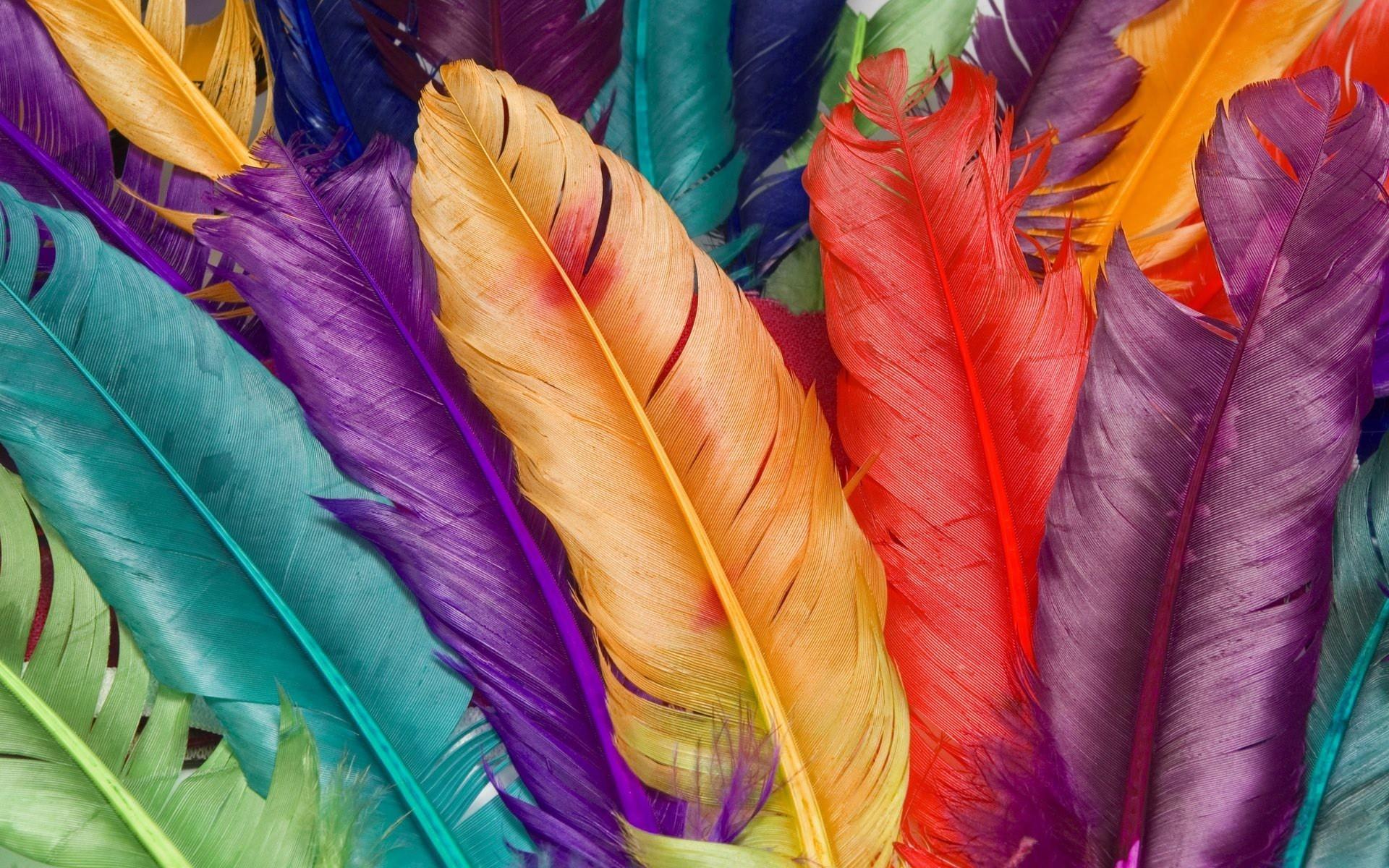 Colorful Feather Wallpapers - Top Free Colorful Feather Backgrounds ...