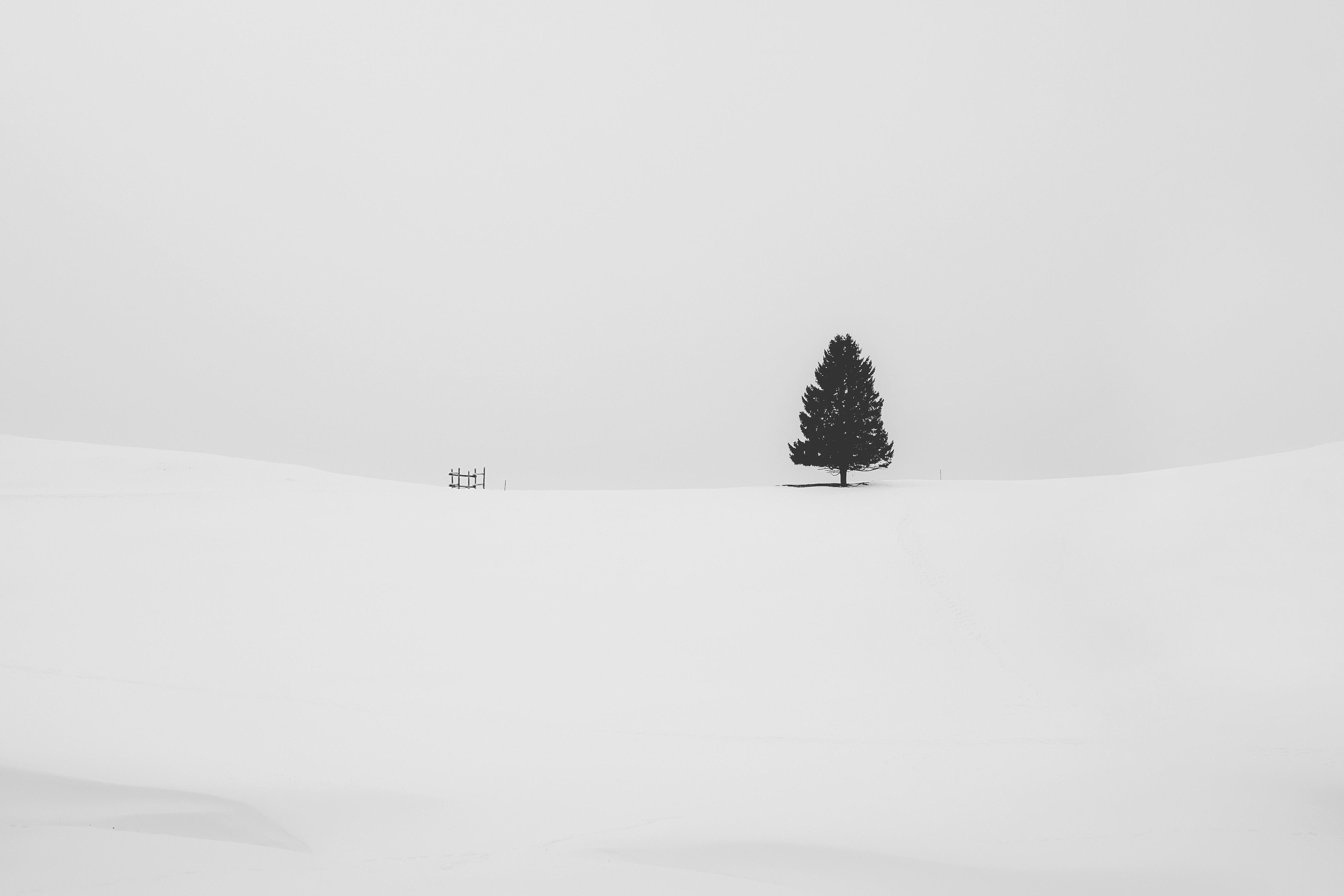 Minimalist Snow Wallpapers - Top Free Minimalist Snow Backgrounds ...