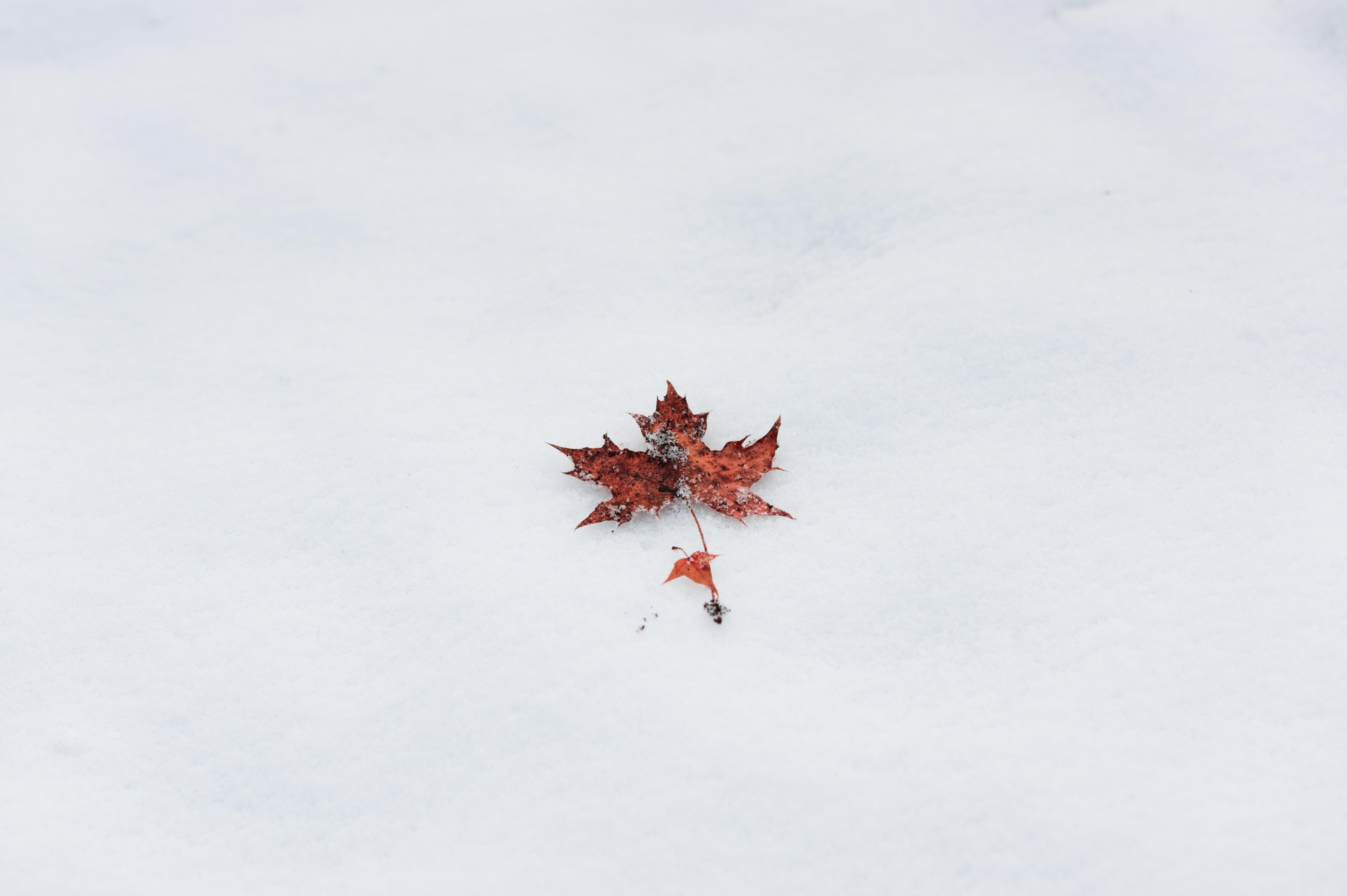 Minimalist Snow Wallpapers - Top Free Minimalist Snow Backgrounds ...