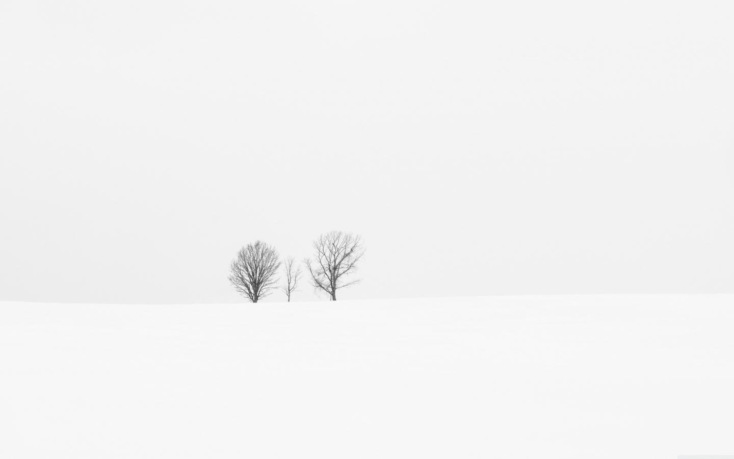 Minimalist Snow Wallpapers - Top Free Minimalist Snow Backgrounds ...