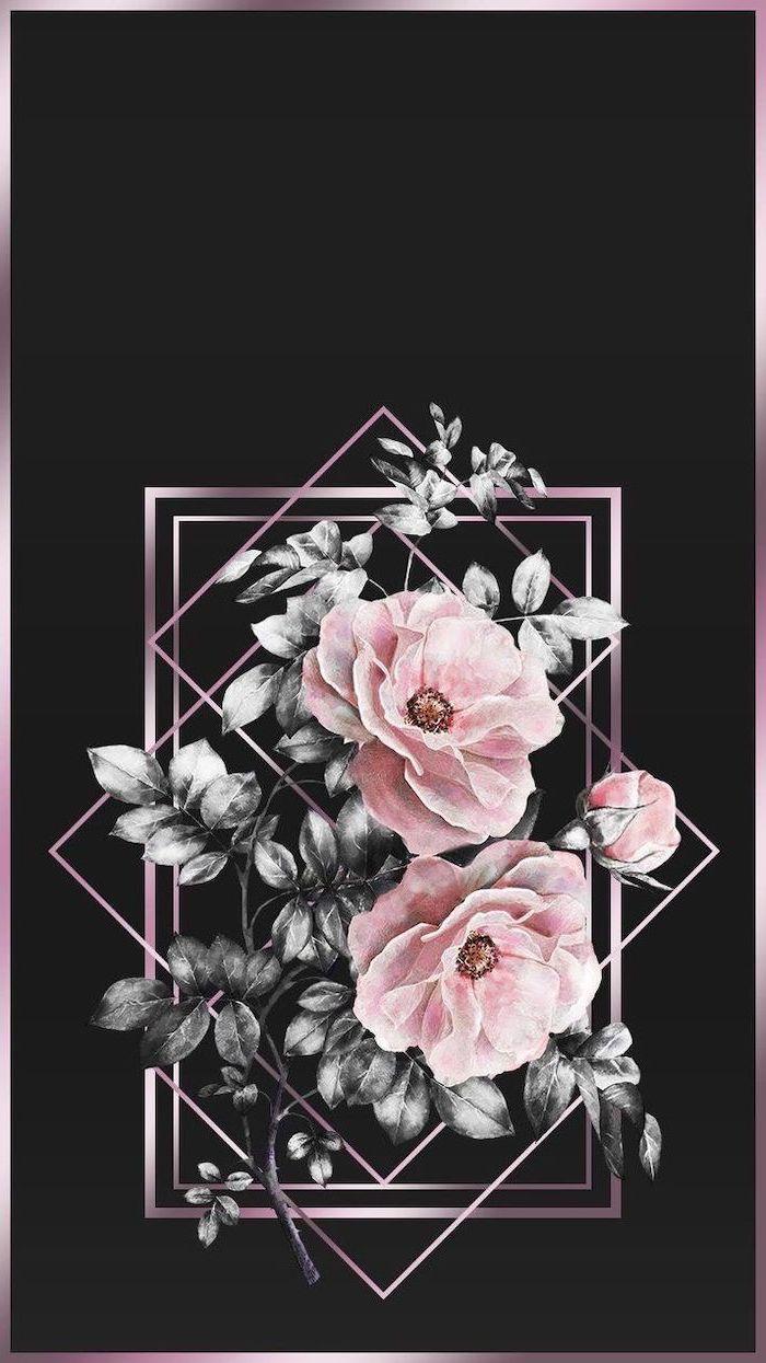 Pink Roses Phone Wallpapers - Top Free Pink Roses Phone Backgrounds ...