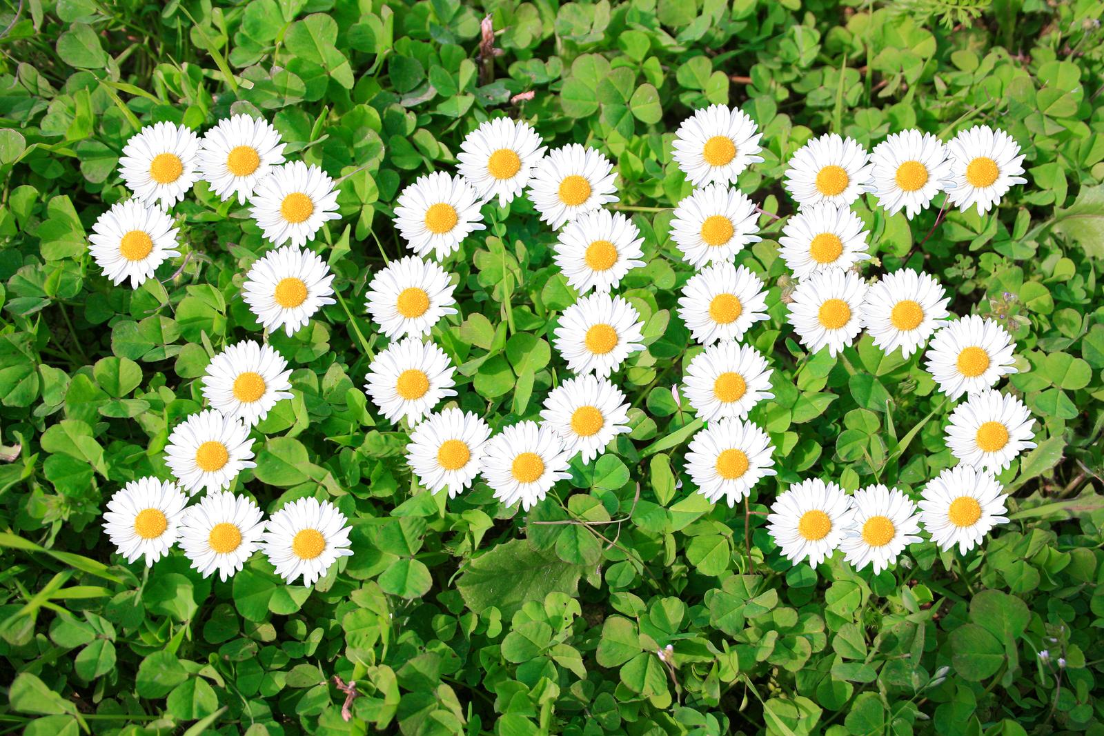 Happy Flowers Wallpapers - Top Free Happy Flowers Backgrounds ...