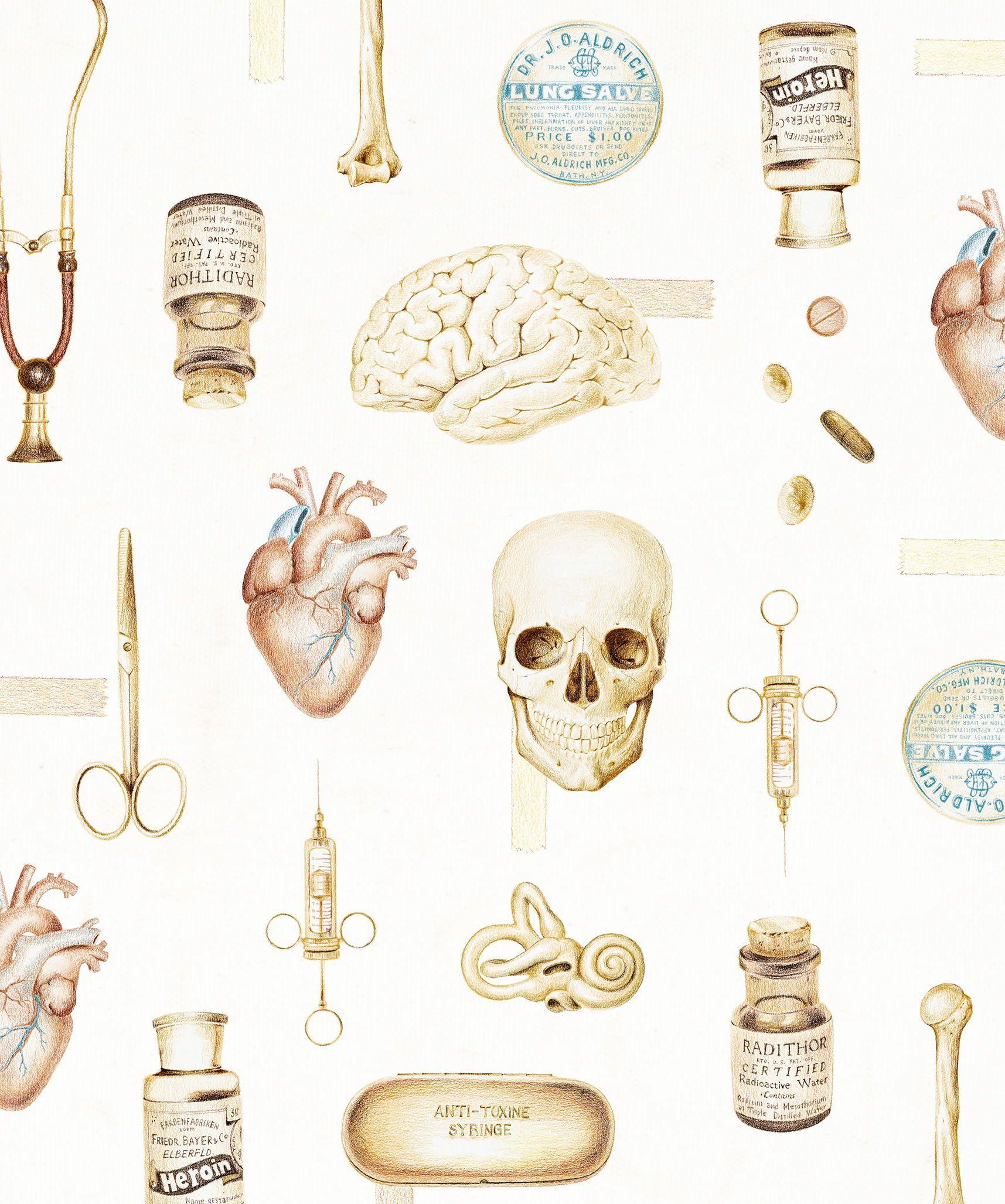Medical Art Wallpapers - Top Free Medical Art Backgrounds - WallpaperAccess